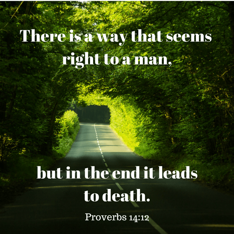 Recognizing Wisdom – Proverbs 14 – Seek Grow Love