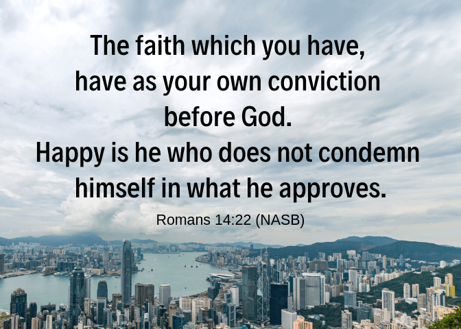 Disputable Matters are Disputable – Seek Grow Love