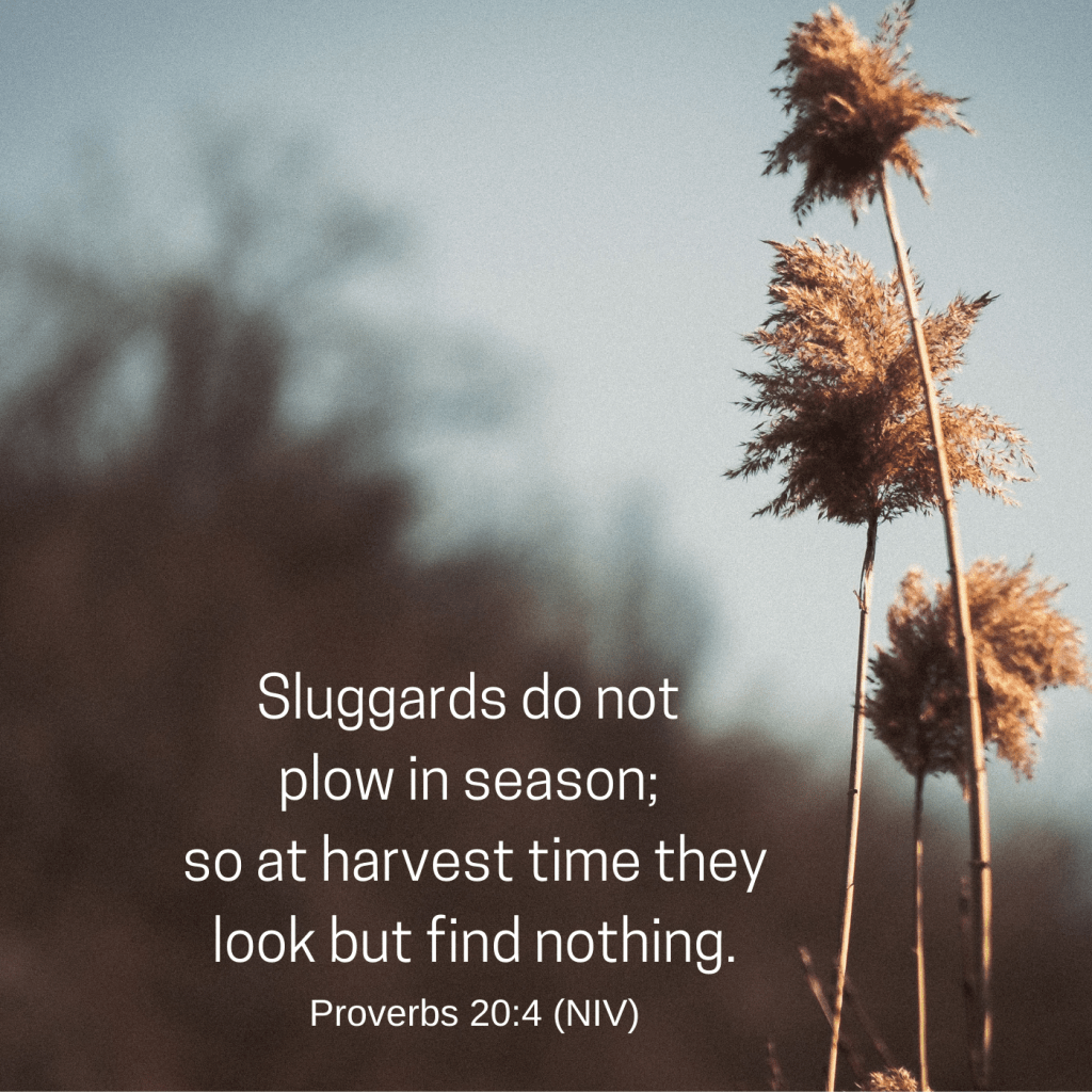 October 20, 2019 – Seek Grow Love