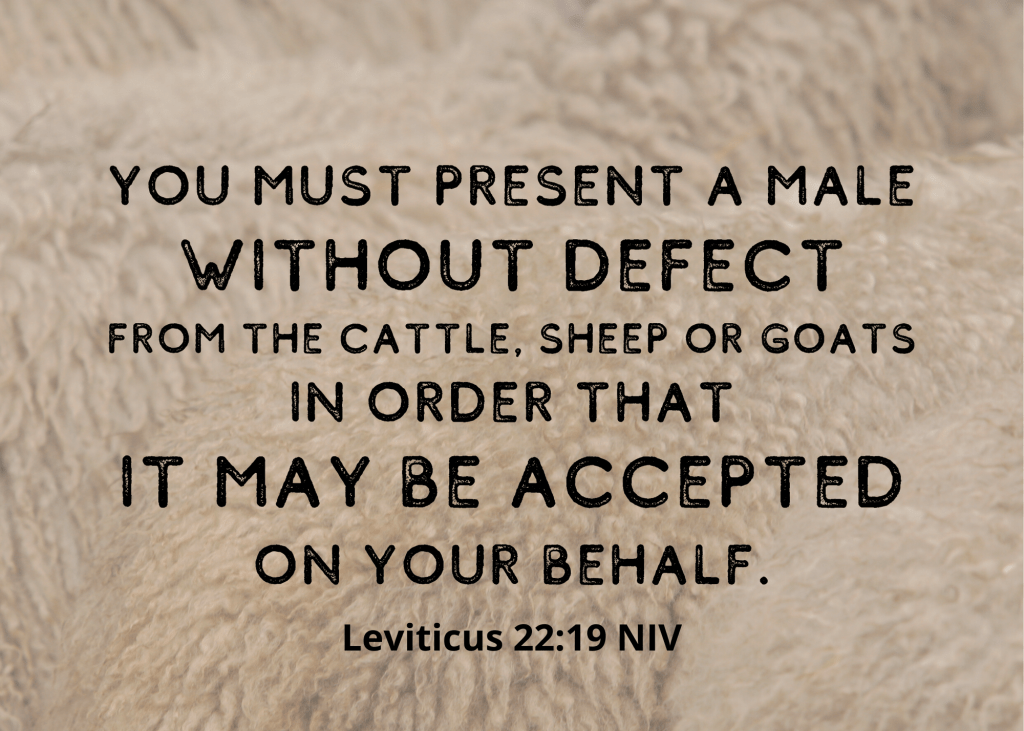 Making A Different People: A Male Lamb, Without Defect – Seek Grow Love