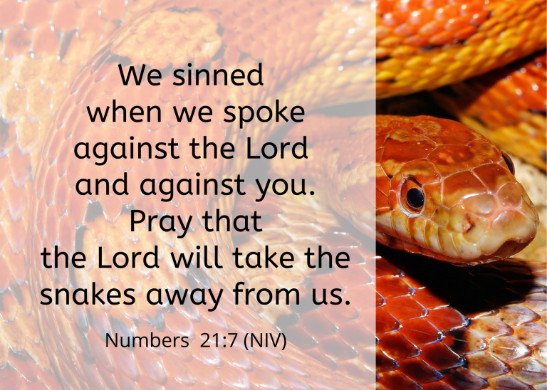 Formula – SeekGrowLove.com