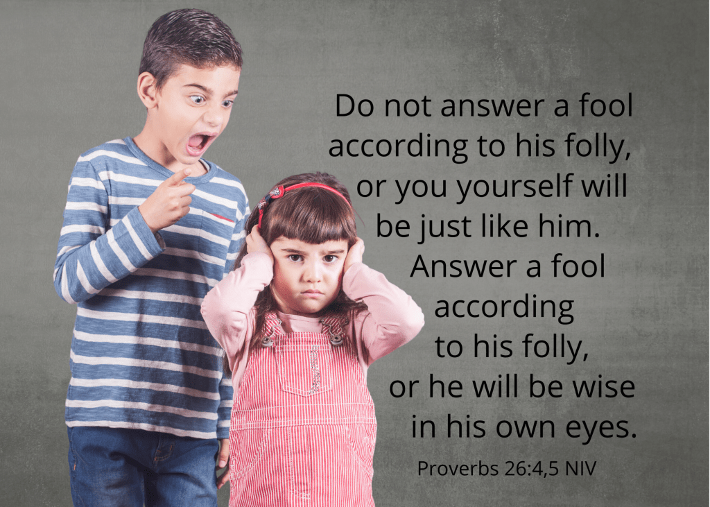To Answer a Fool – or Not? – Seek Grow Love