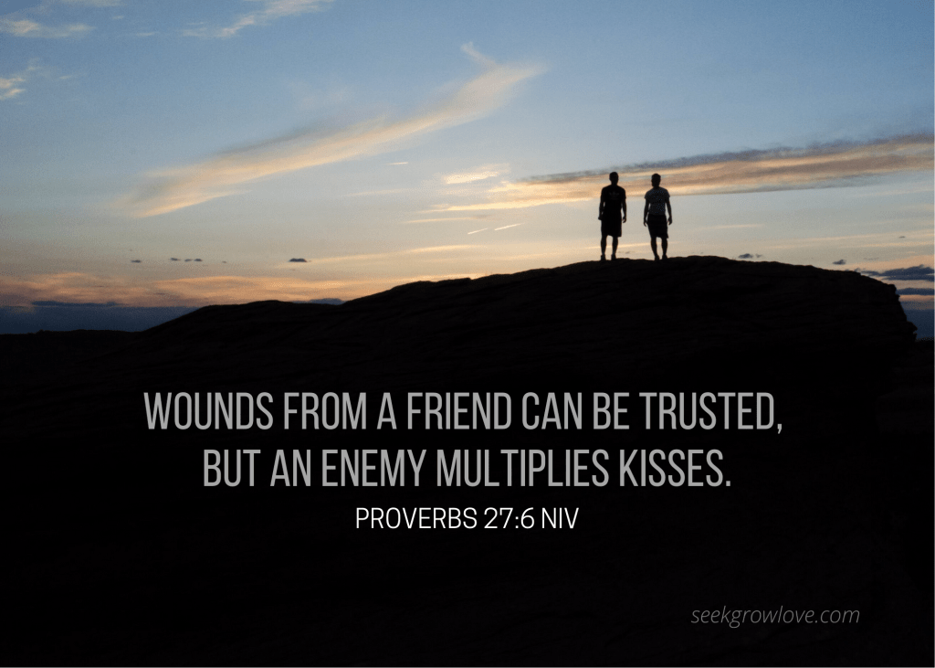 Wounds from a Friend – Seek Grow Love