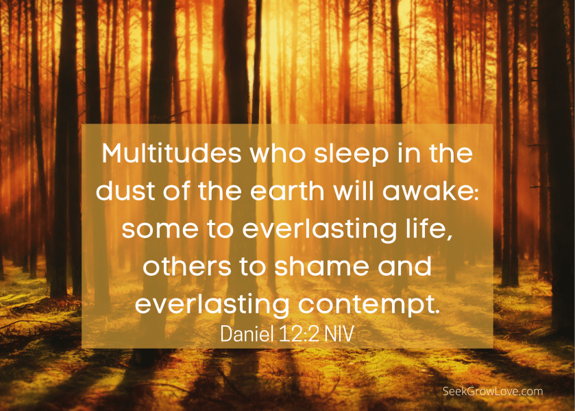 A Messenger Reveals The End – Seek Grow Love