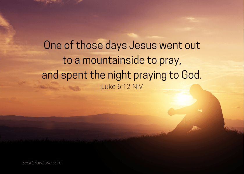 All Night Long – Seek Grow Love