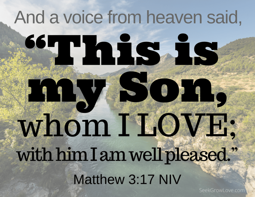 John the Baptizer, a baptism for the repentance of sin – Seek Grow Love