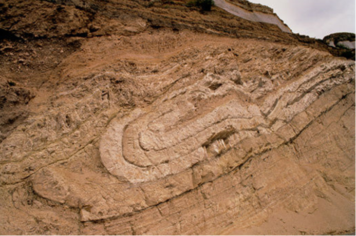 Genesis 6-9 – The Great Flood! – Seek Grow Love