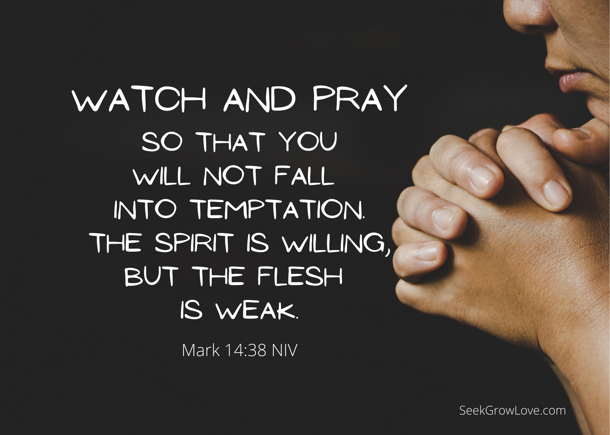 Finding Ourselves in Scripture – Seek Grow Love