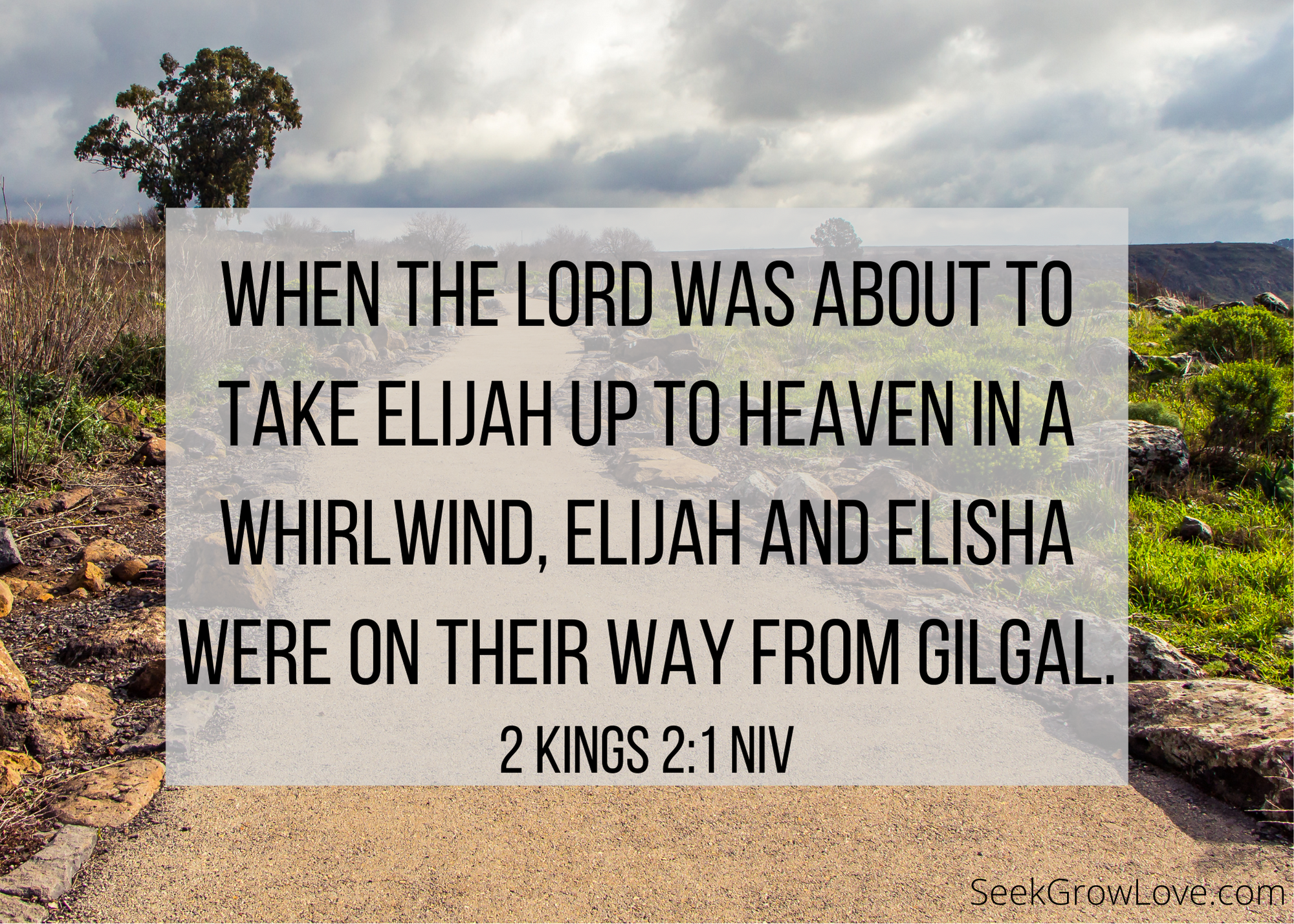 Elijah And The Bears Bible Verse