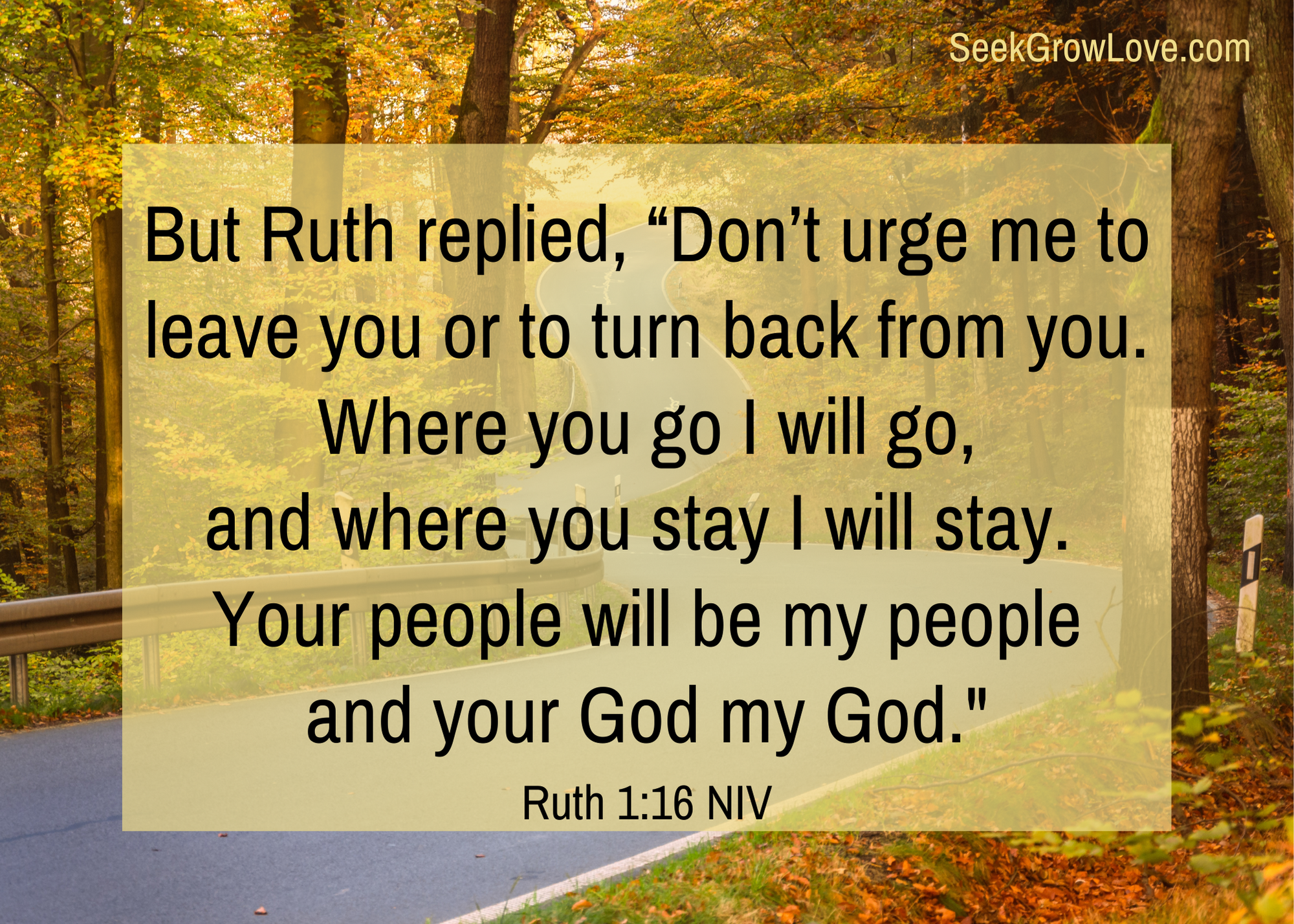 Beauty in the Midst of Chaos – Seek Grow Love