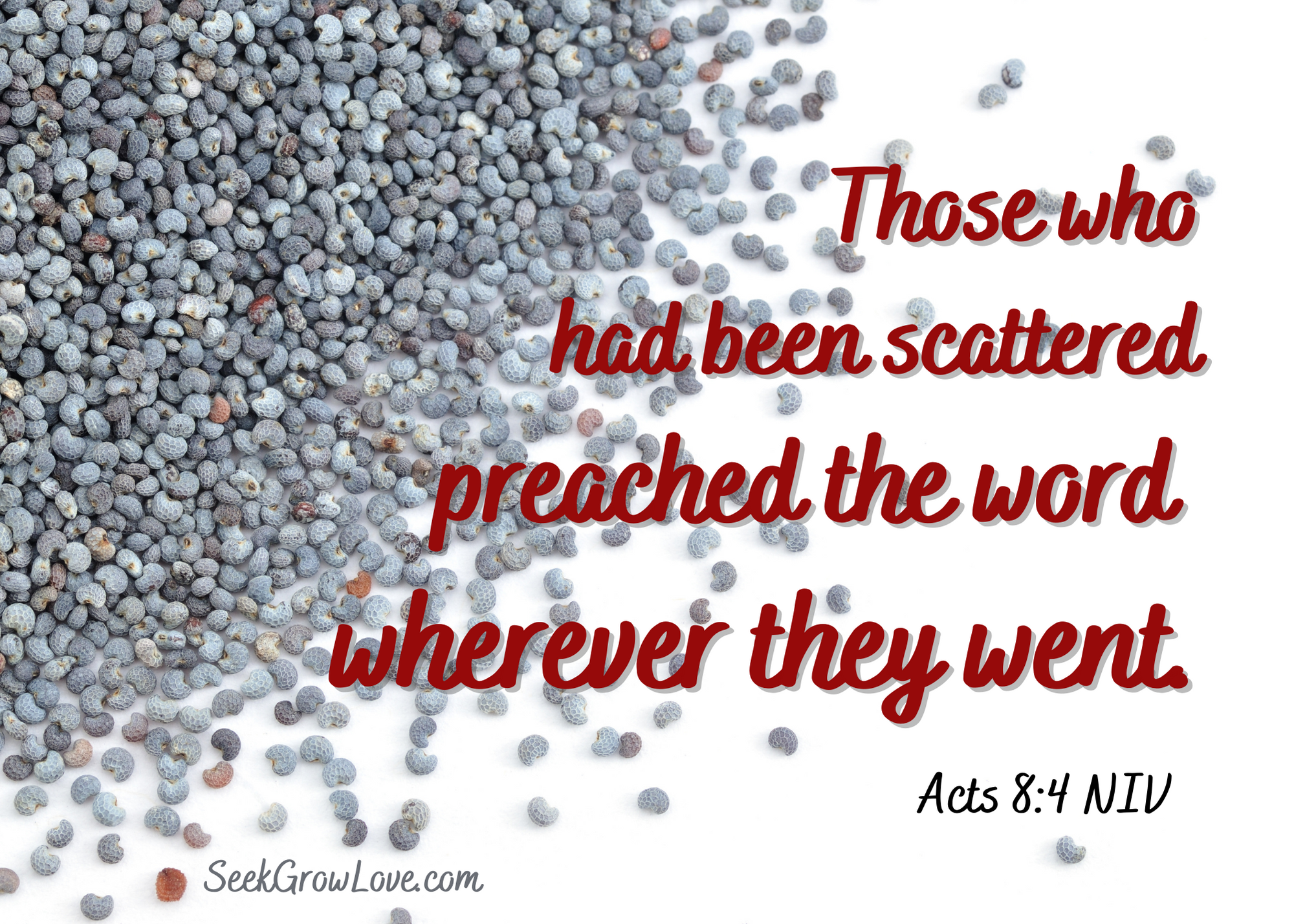 Scatter and Preach It – Seek Grow Love