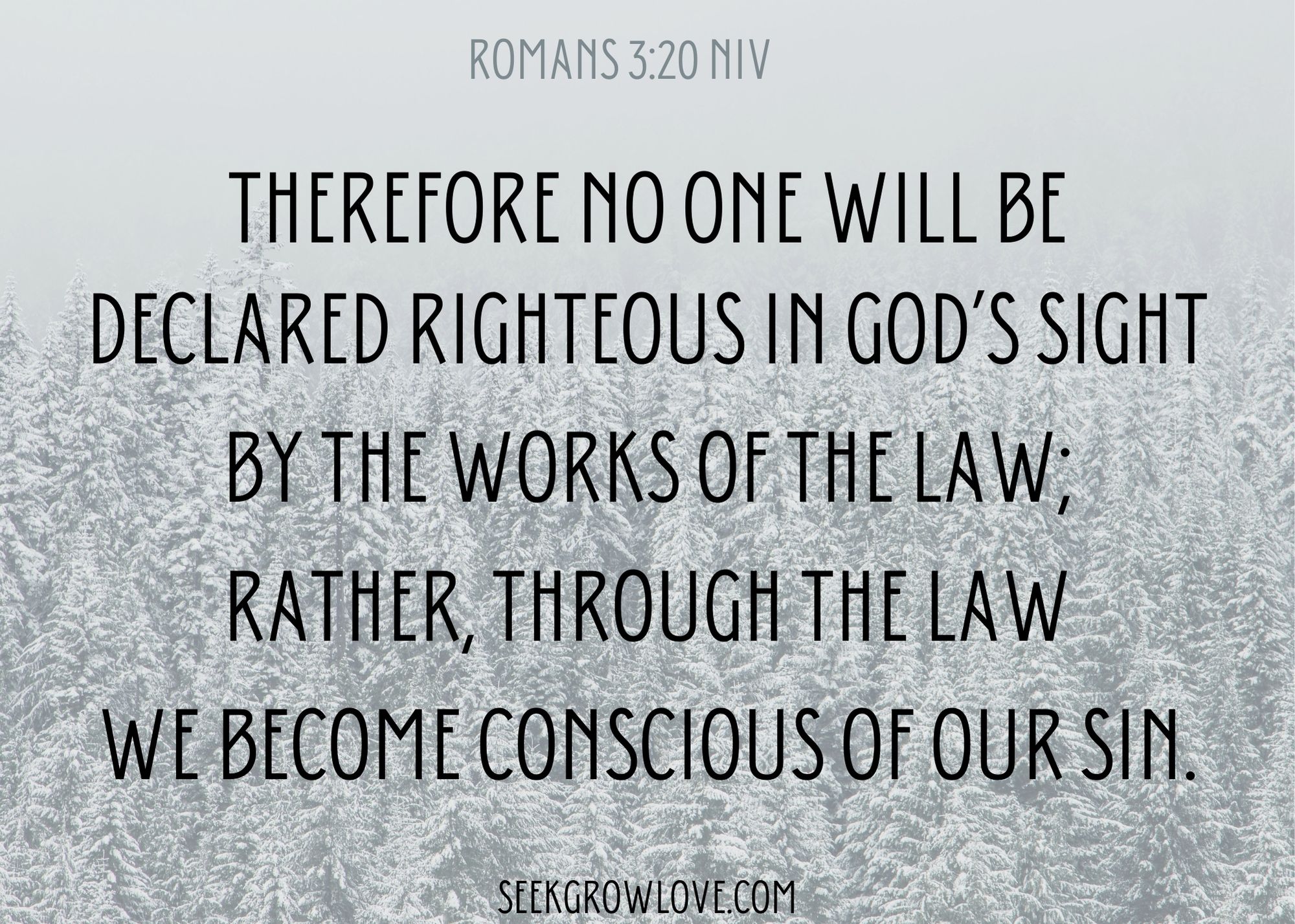 Romans 3 – Seek Grow Love