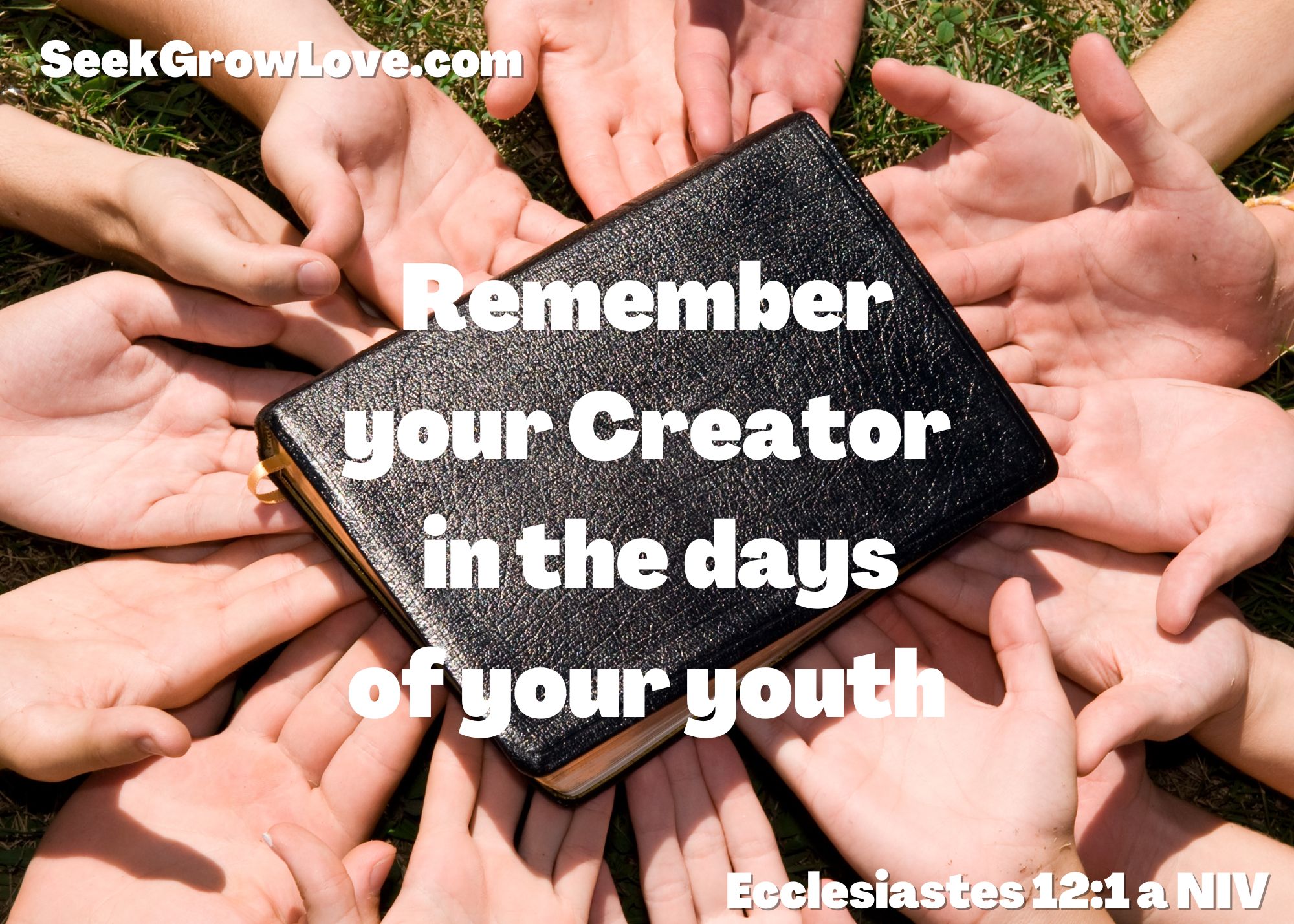 The Big Reveal on the Meaning of Life – Seek Grow Love