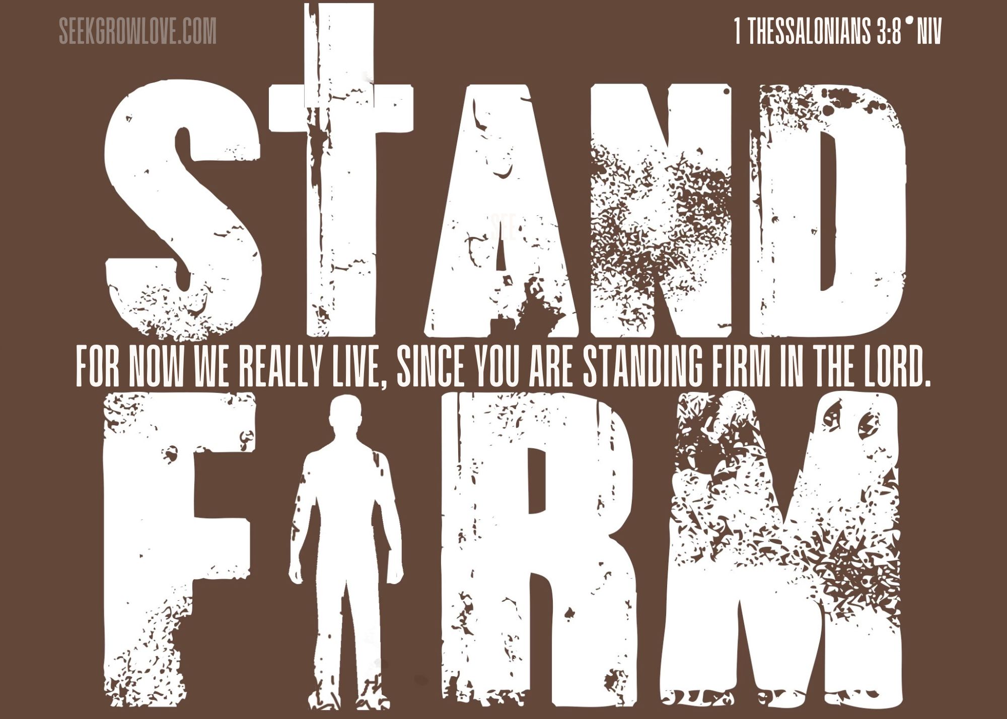 Stand For The Lord Lord Noir | Anime Last Stand Wiki | Fandom