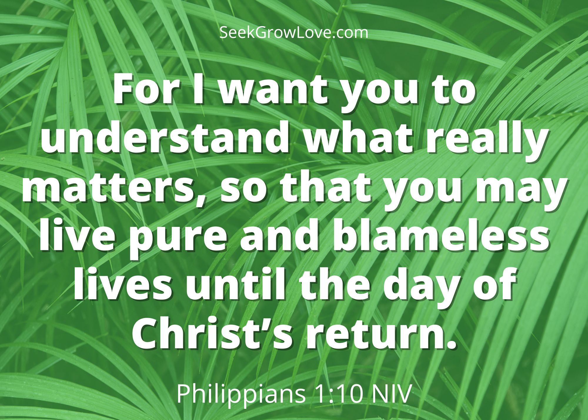 Eternal Perspective – Seek Grow Love