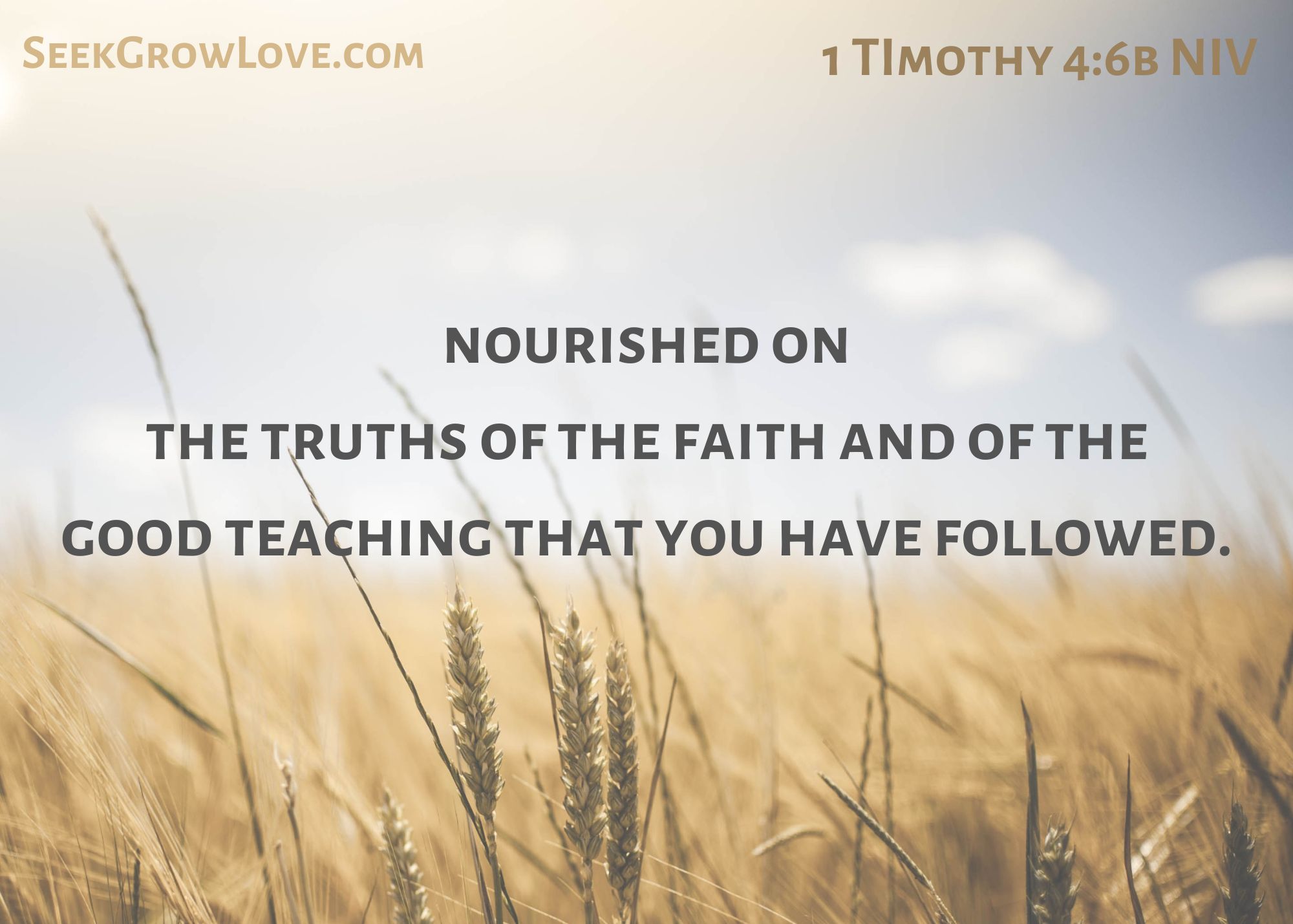 Nourishment – Seek Grow Love