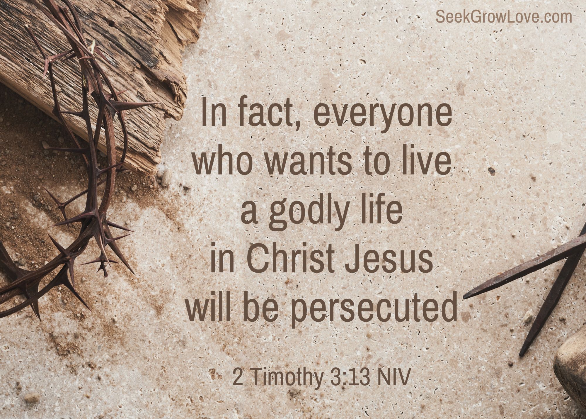 Our Response to a Corrupt World – Seek Grow Love