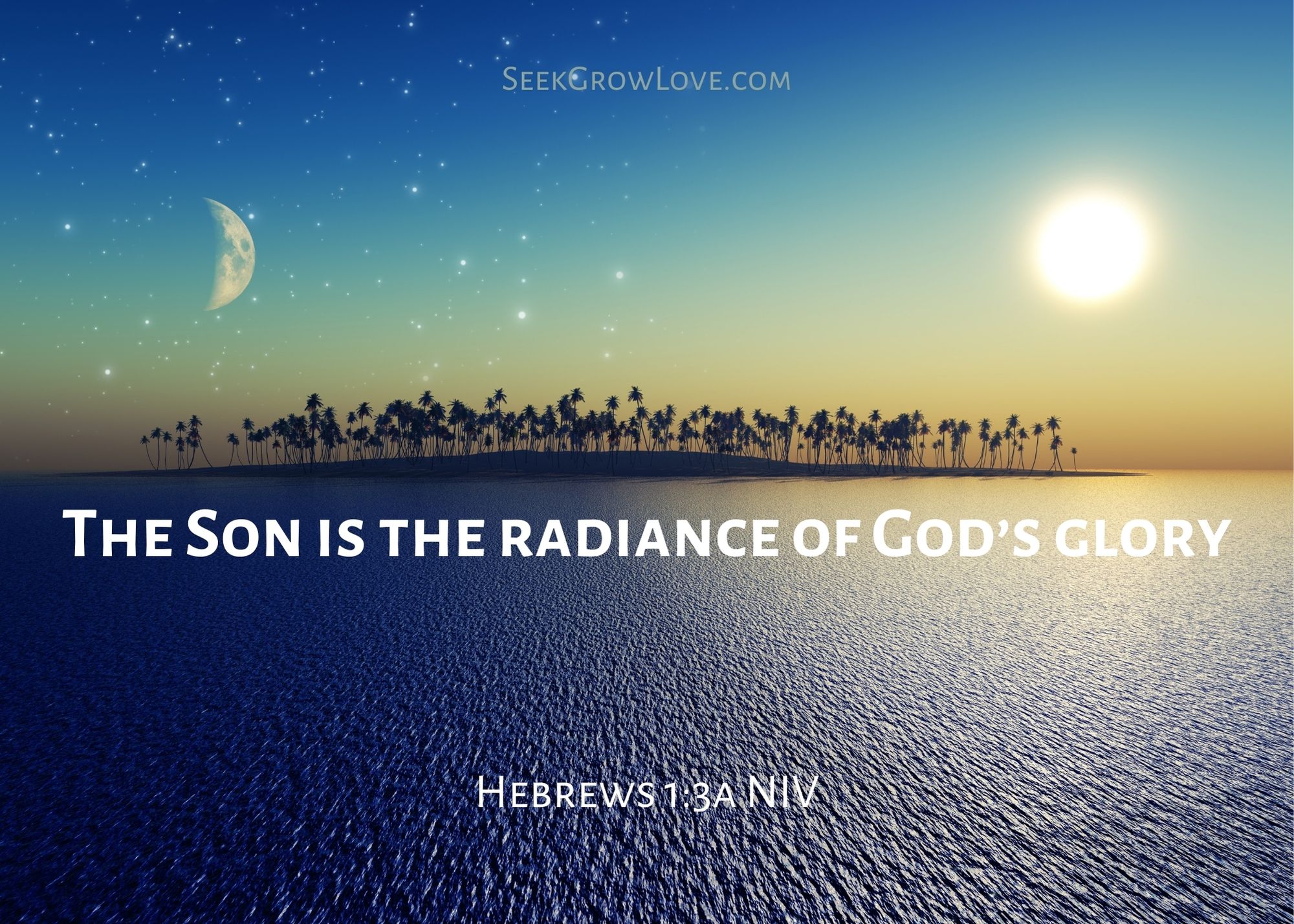 The Glory of the Son – Seek Grow Love