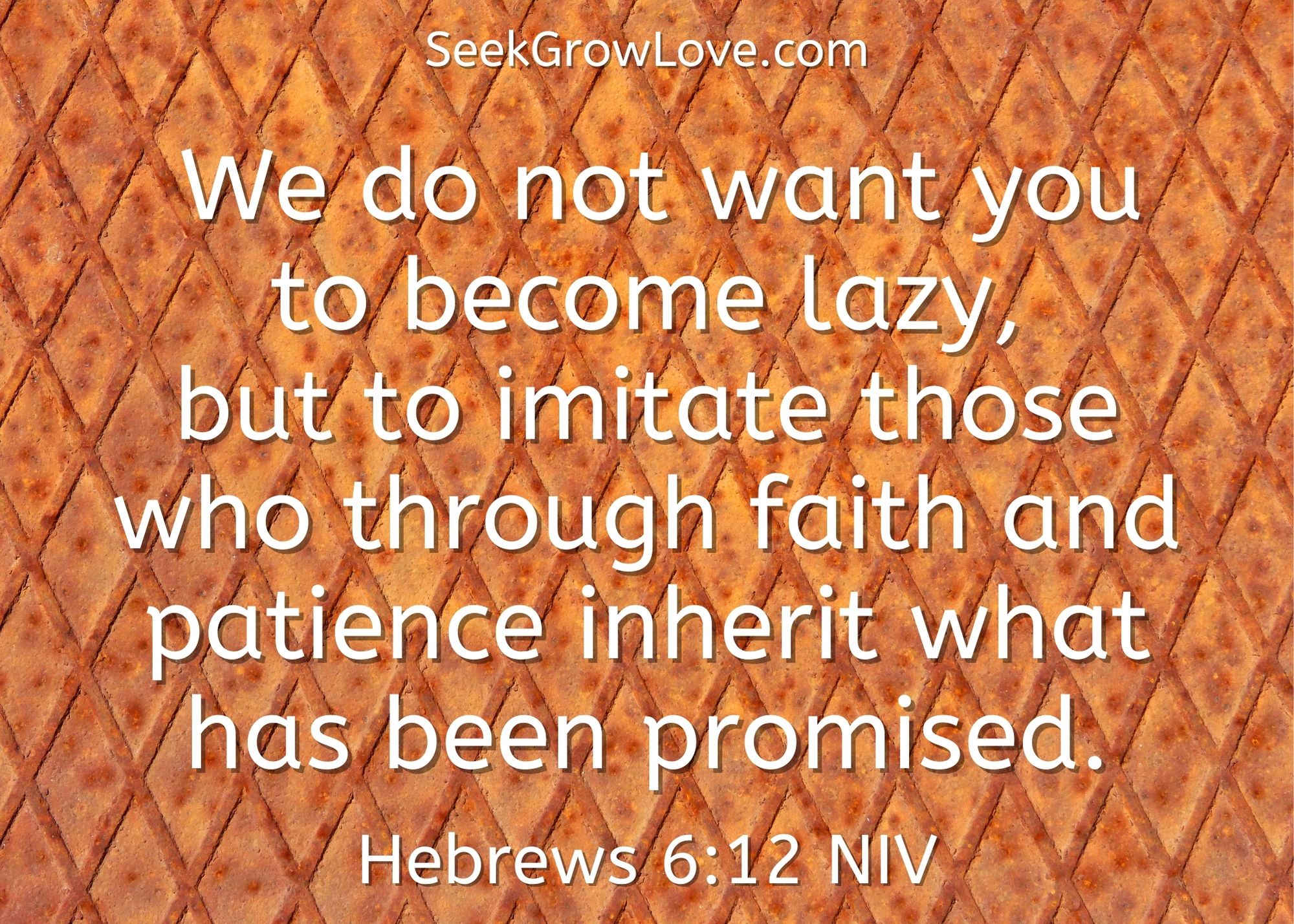 Imitate Those Who Inherit the Promises – Seek Grow Love