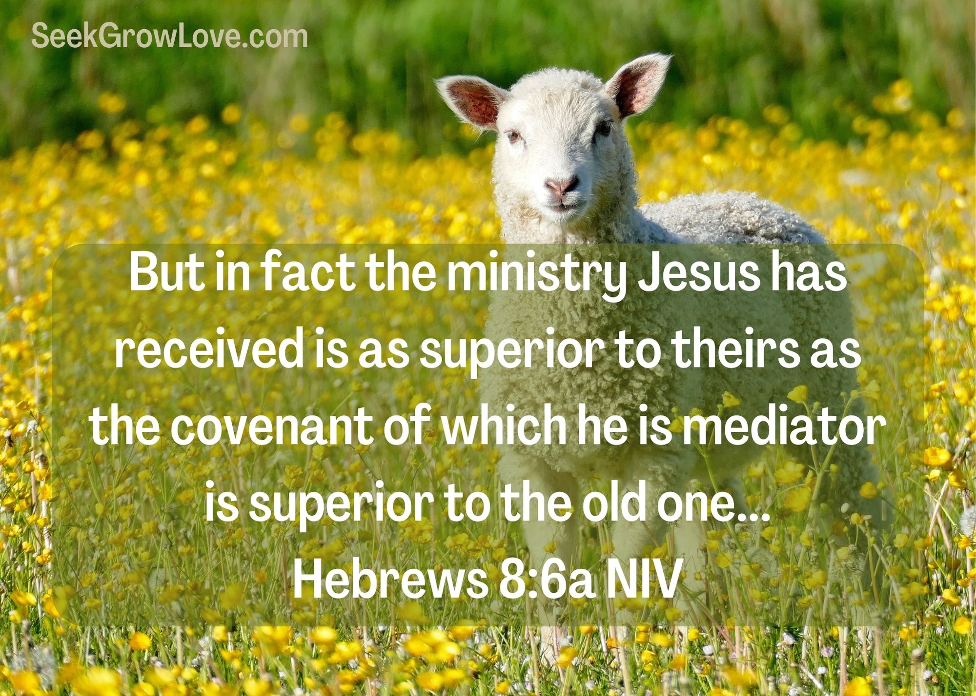 The Best Covenant – Seek Grow Love