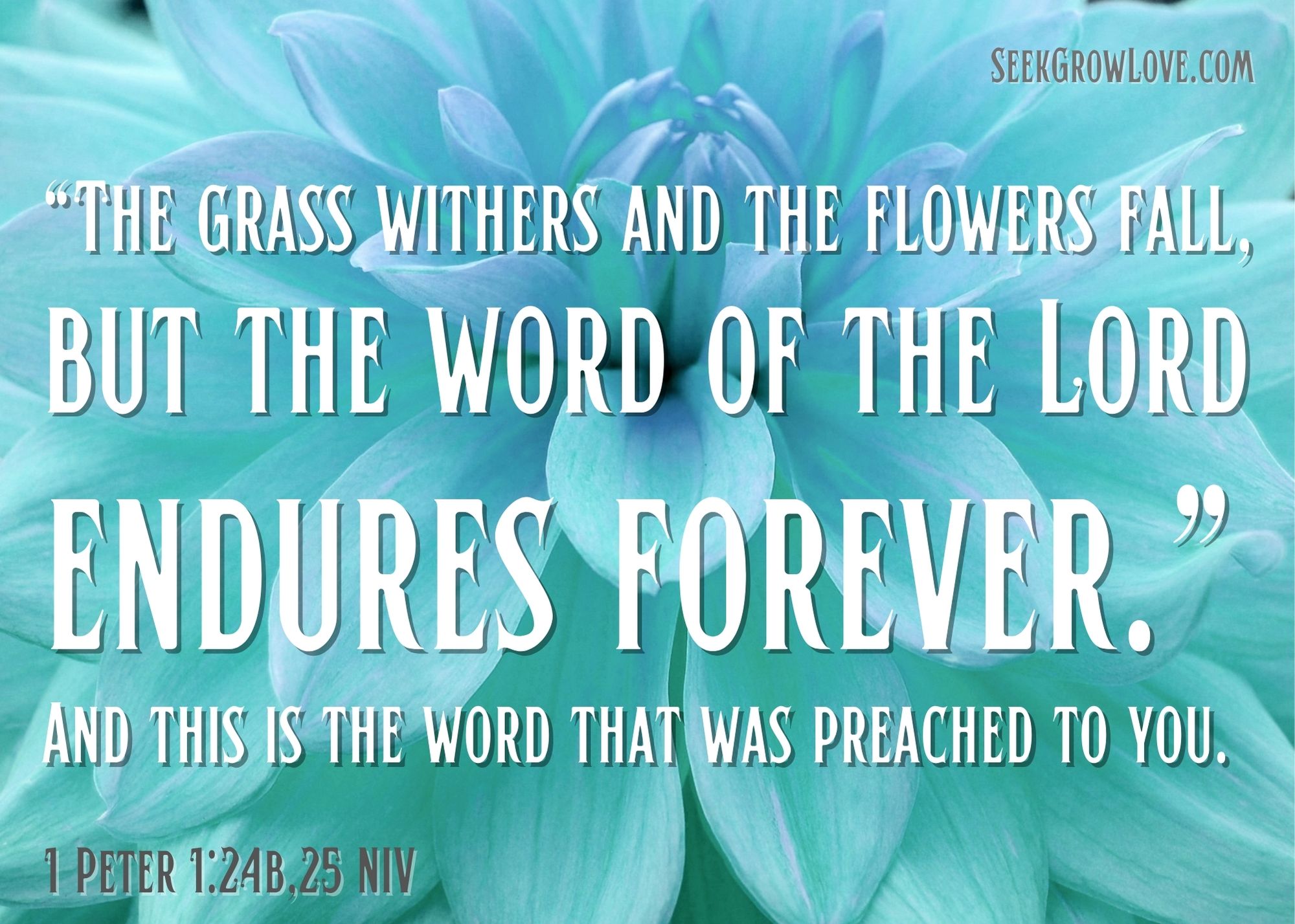 Things that Fade, and Things that Don’t – Seek Grow Love