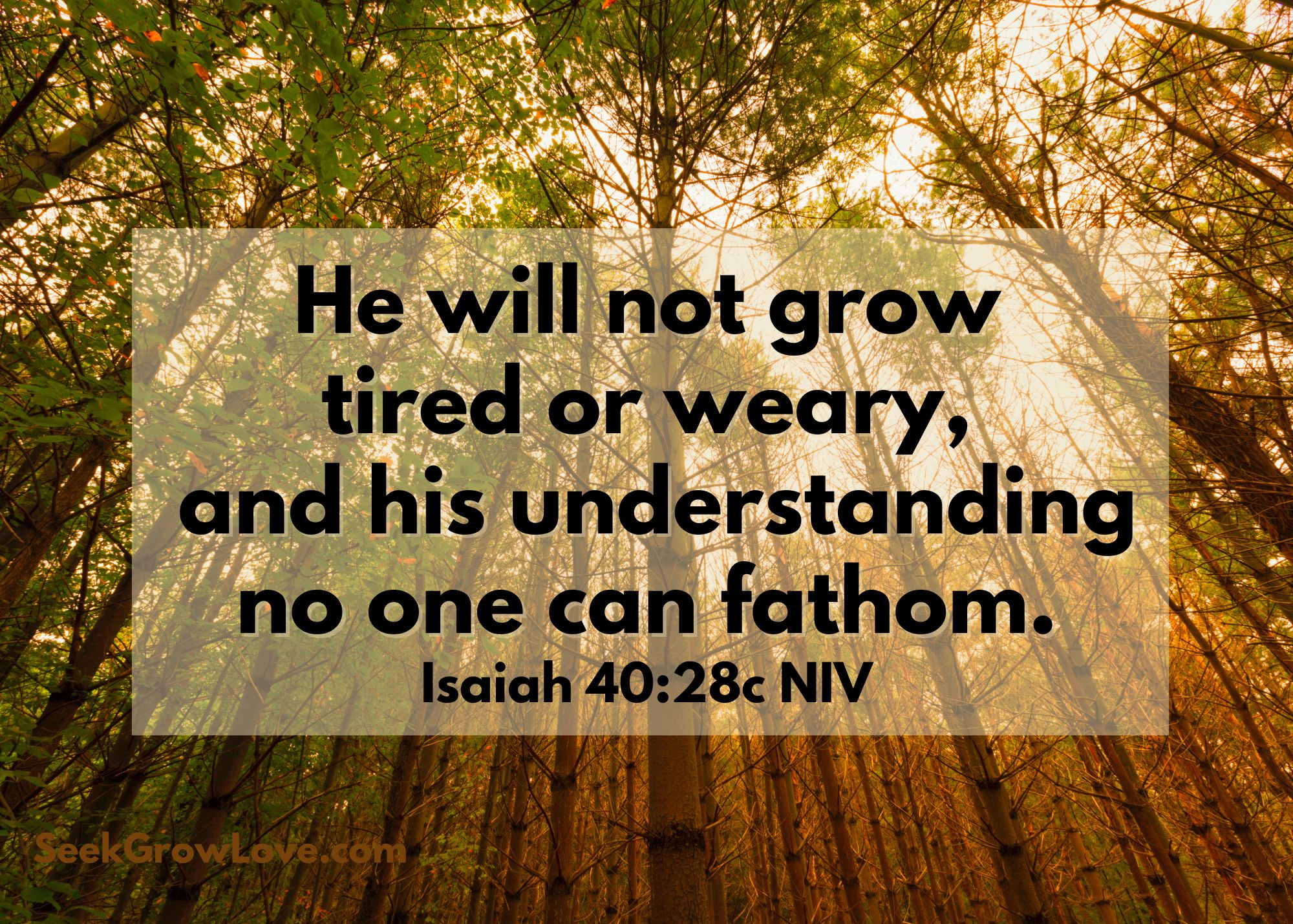 Do You Know Seek Grow Love