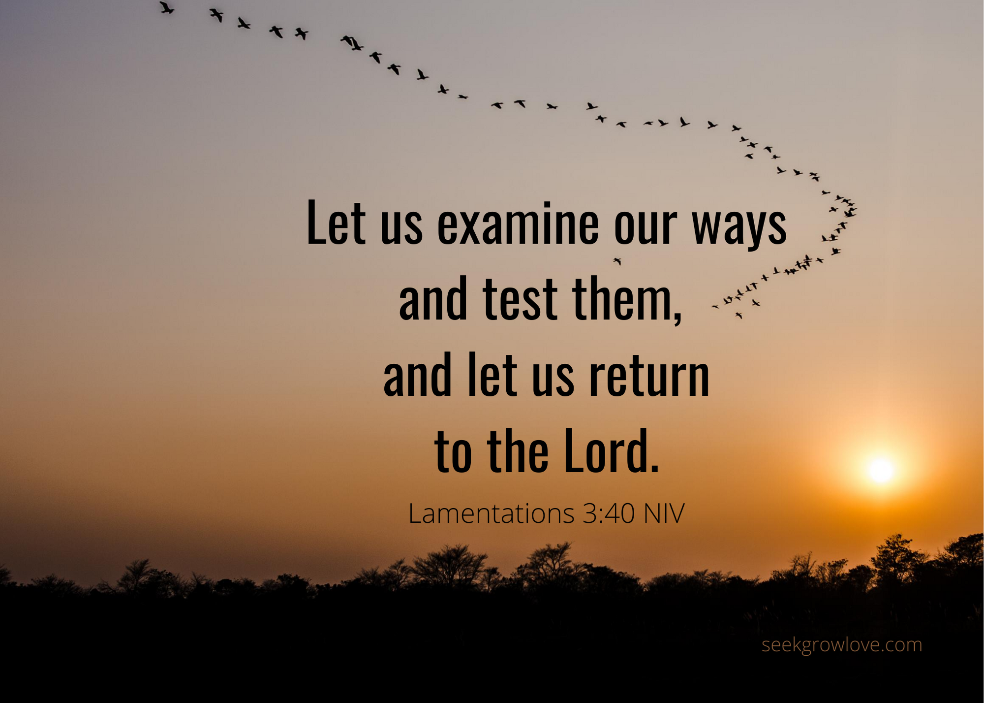 Lamentations of Hope – Seek Grow Love