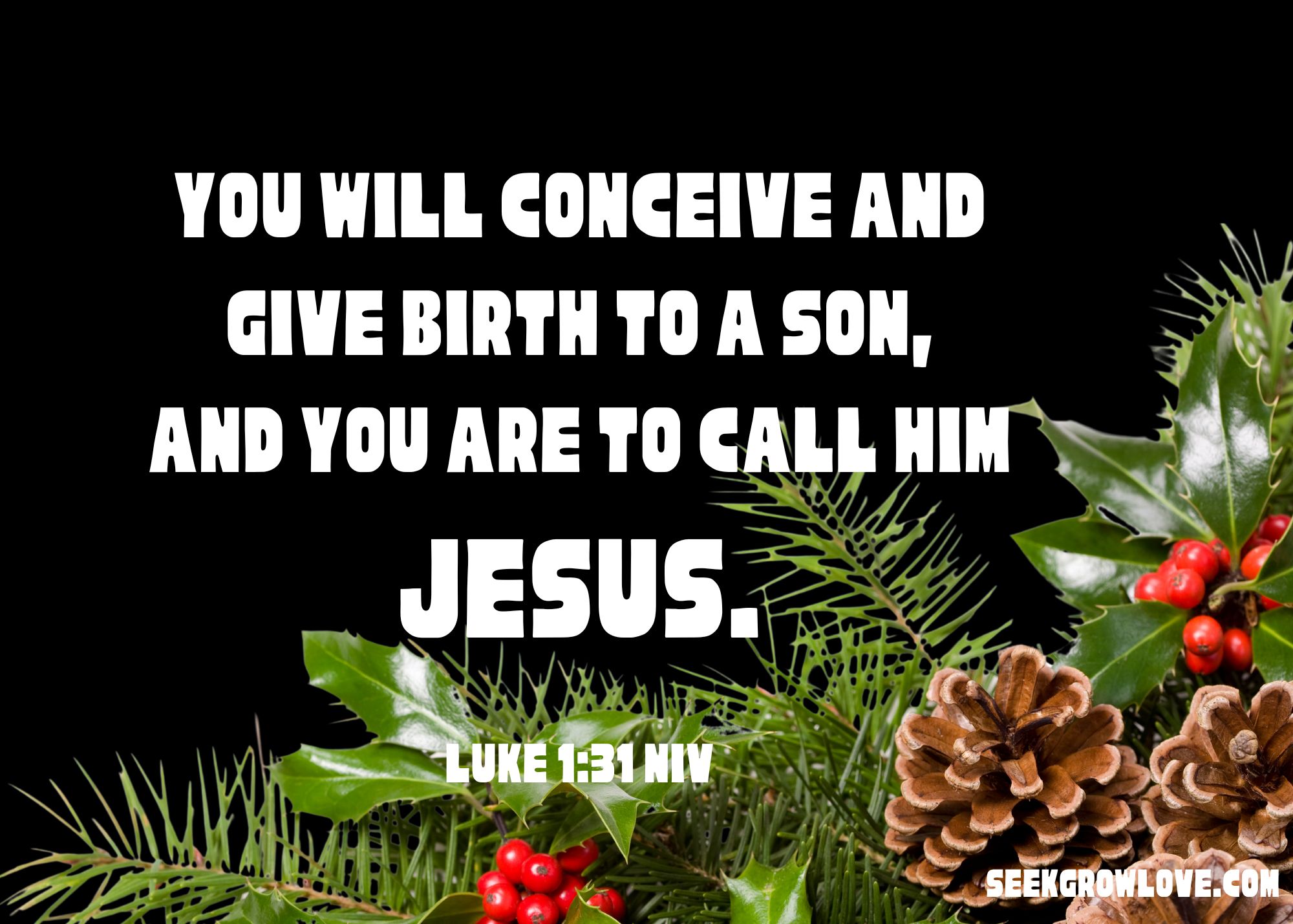 MERRY CHRISTMAS! – Seek Grow Love