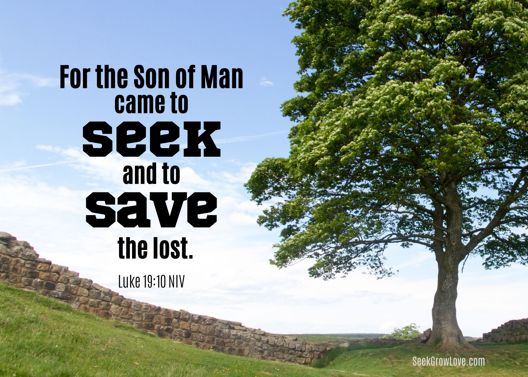 Waiting & Acting – Seek Grow Love