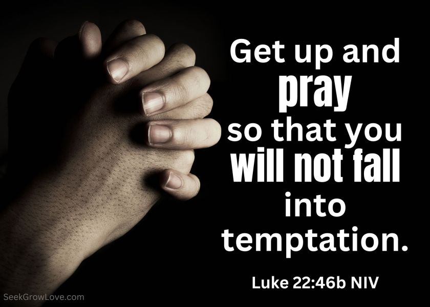 2022 Bible Reading Plan – Seek Grow Love