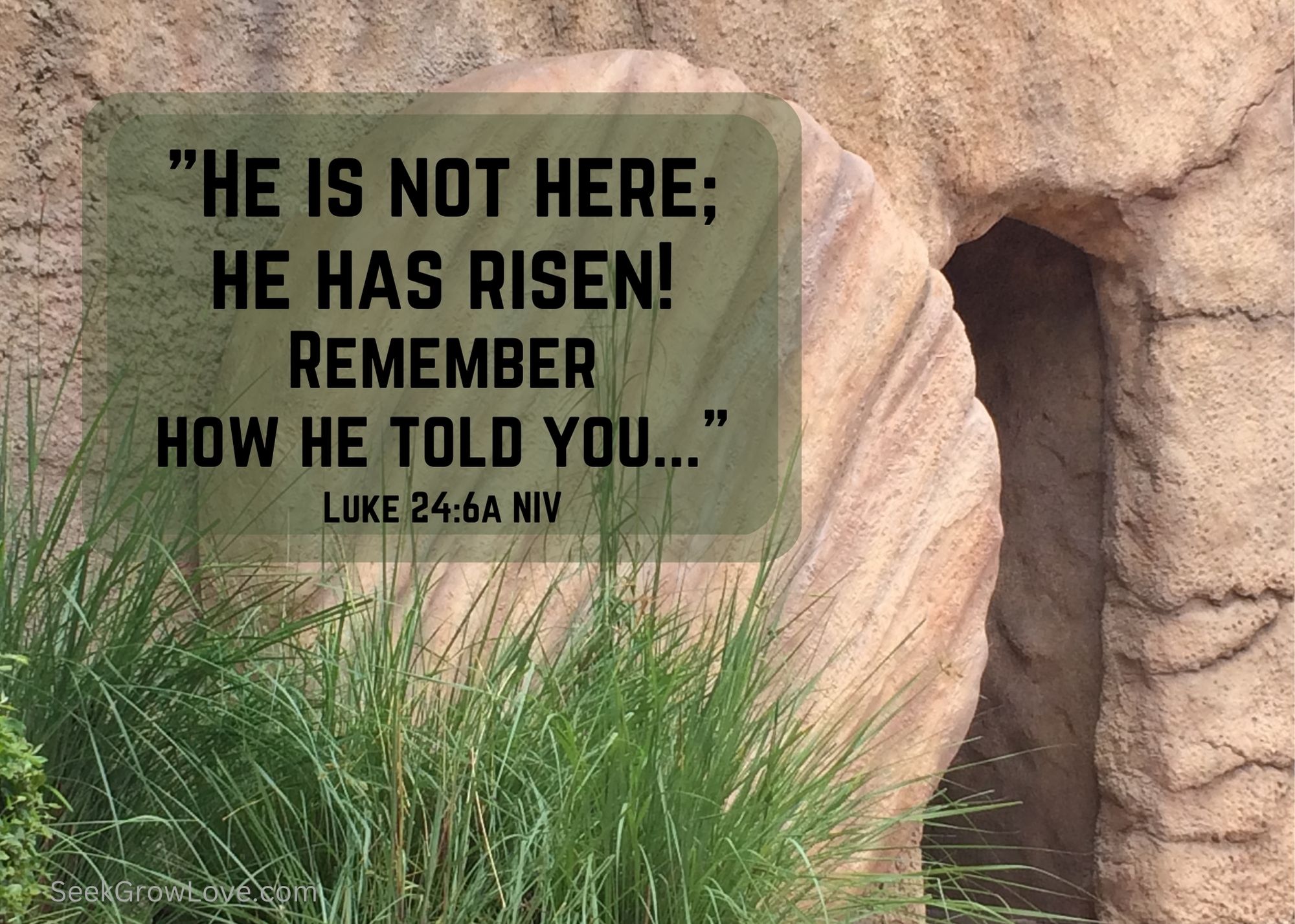 Best Day Ever – Seek Grow Love