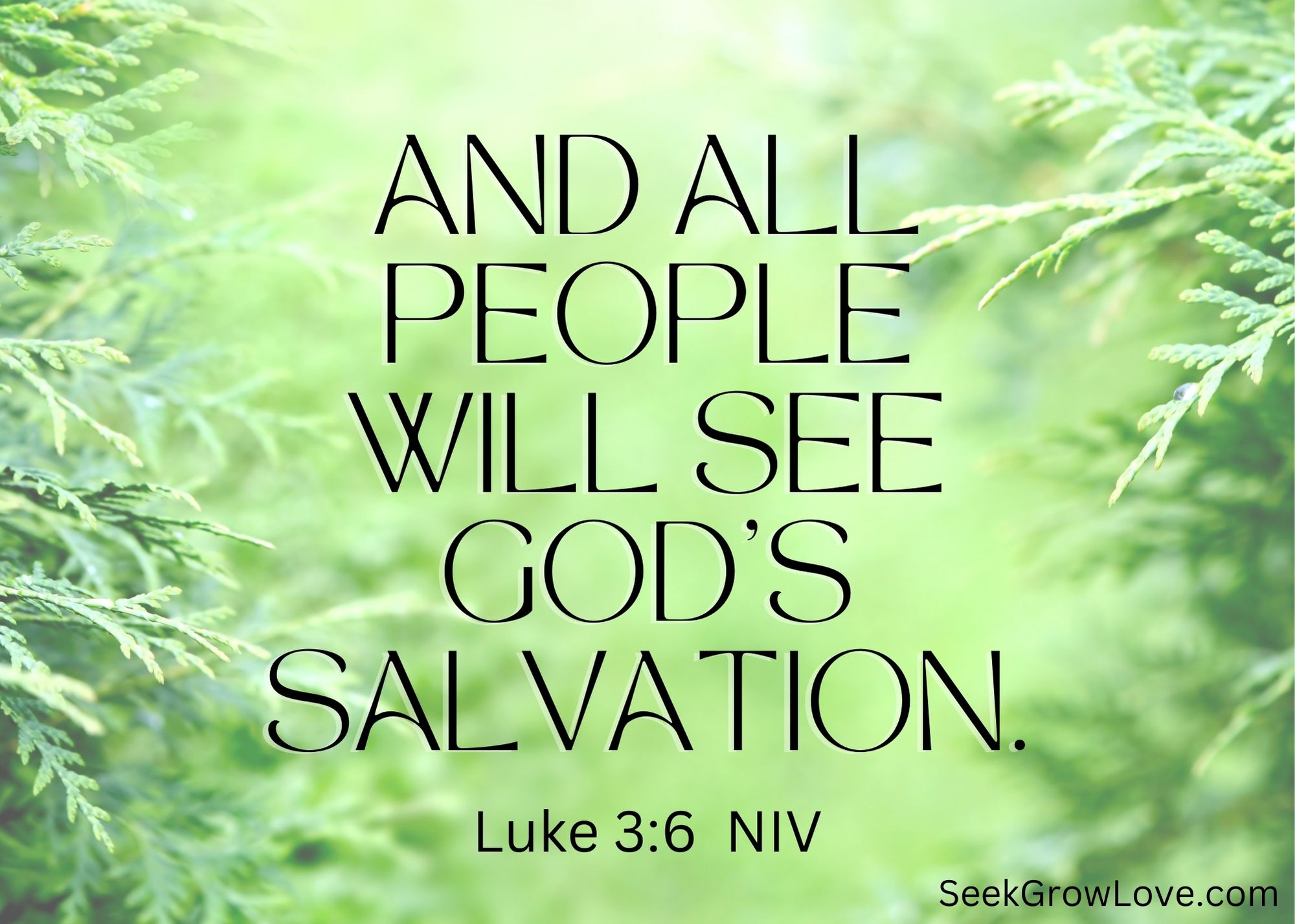 Who’s Your Daddy? – Seek Grow Love