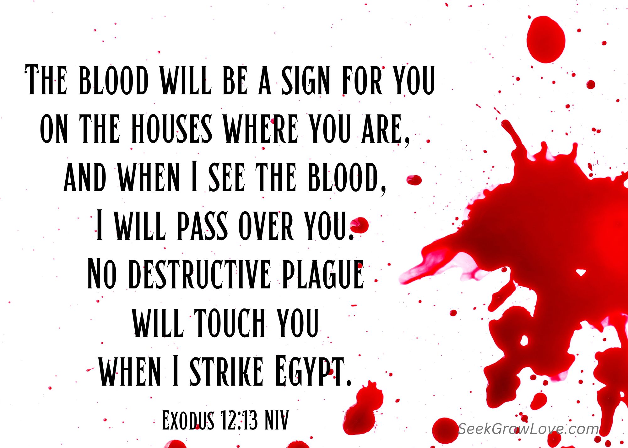 Bought with the Blood of the Lamb – Seek Grow Love