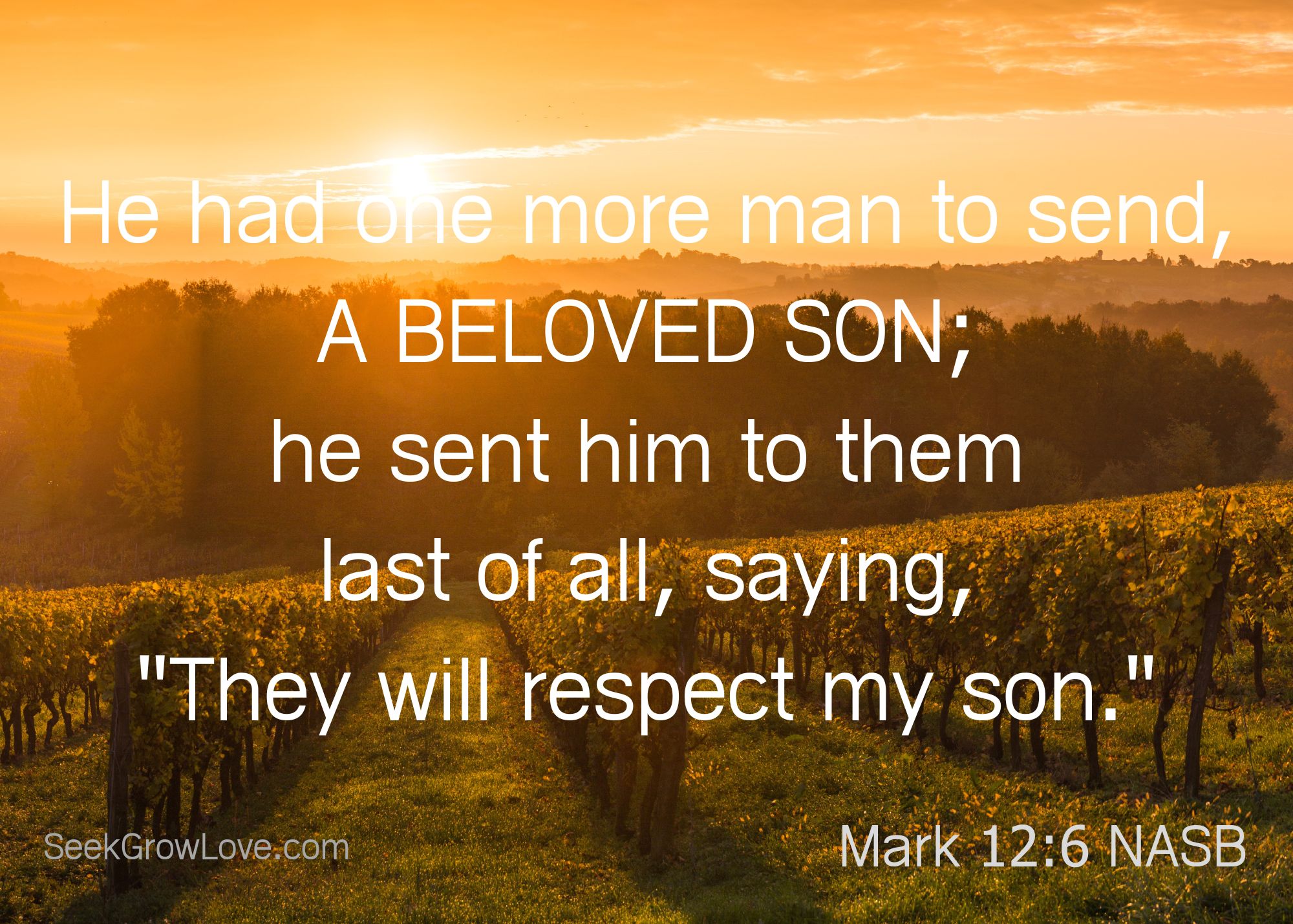 Do you Know the Son of the Vineyard Owner? – Seek Grow Love
