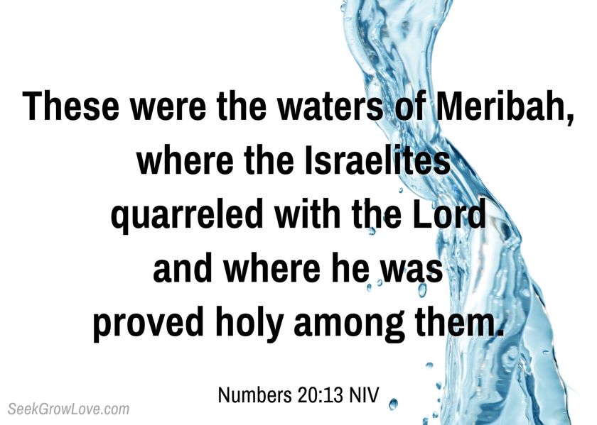 Generations – Seek Grow Love