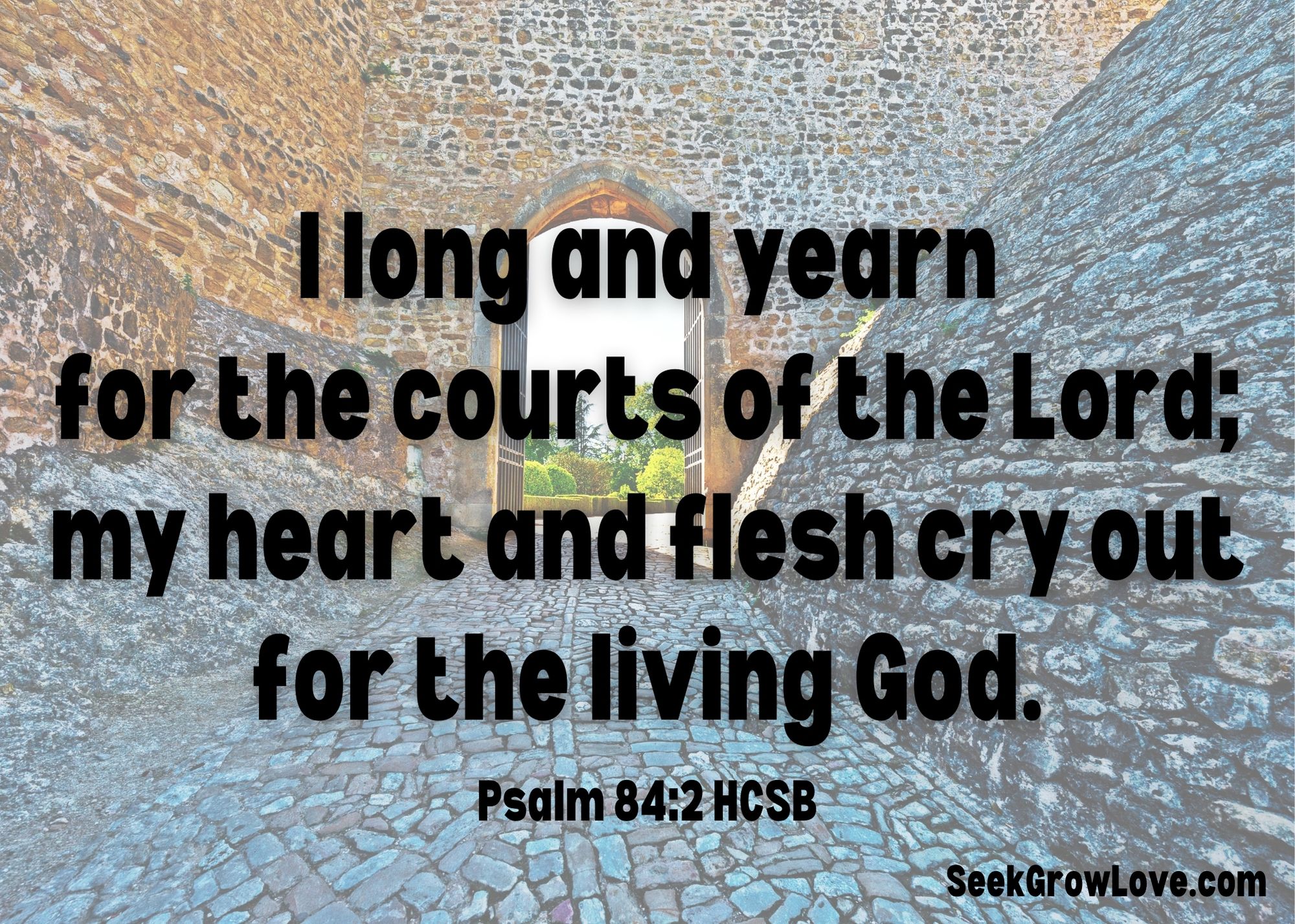 Your Longing – Seek Grow Love