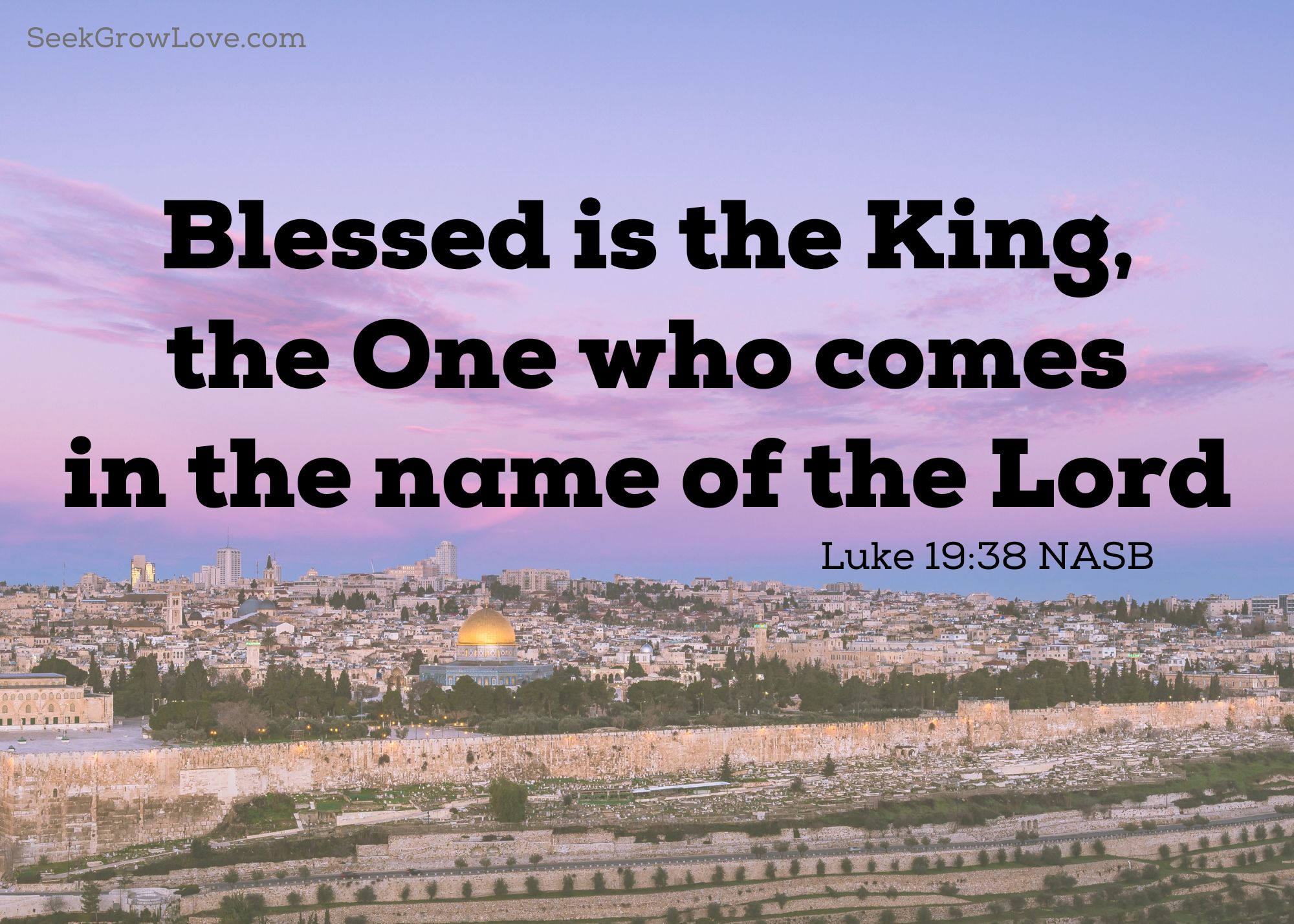 A Restorer of Life – Seek Grow Love