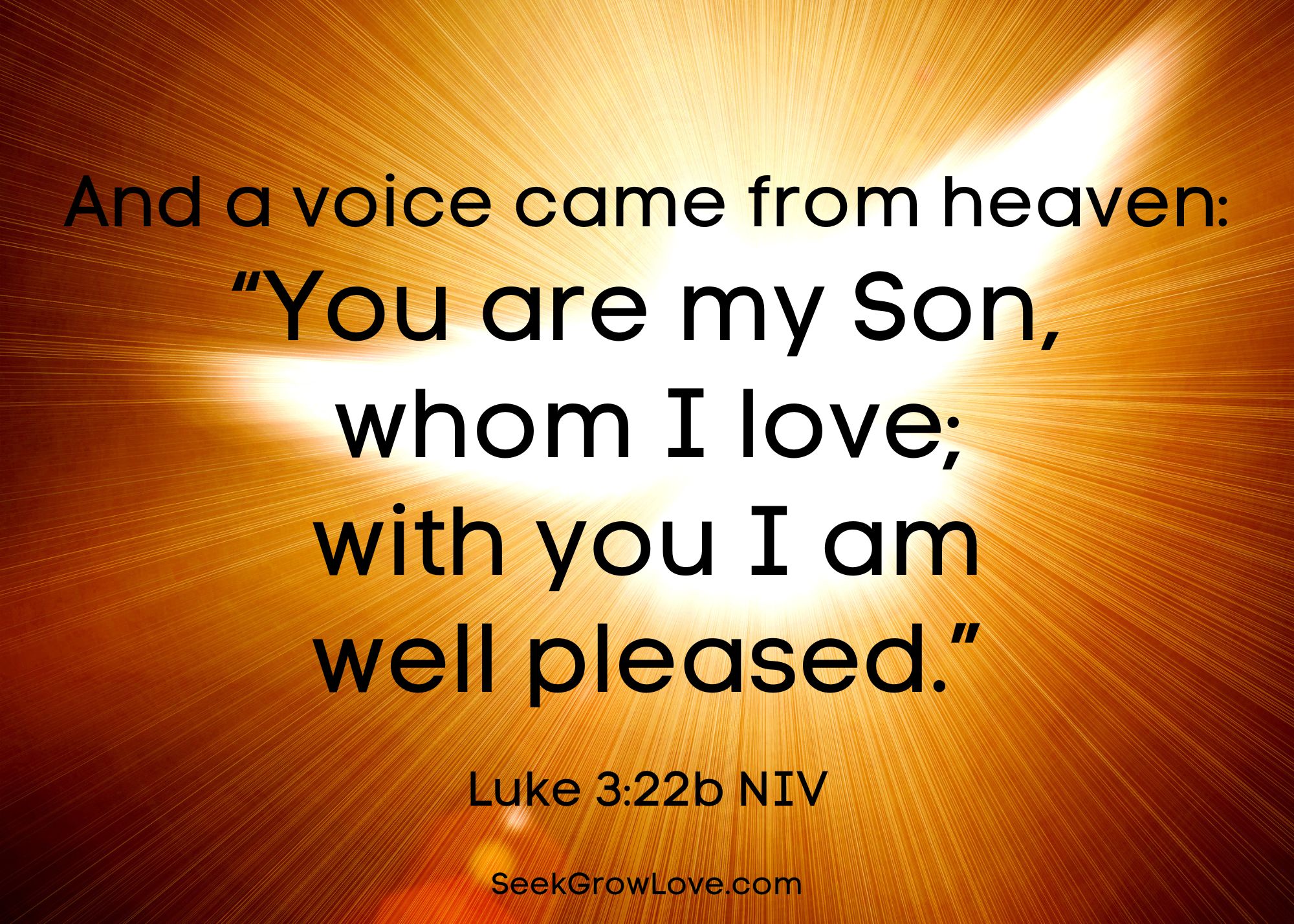 John, Jesus and the Spirit of God – Seek Grow Love
