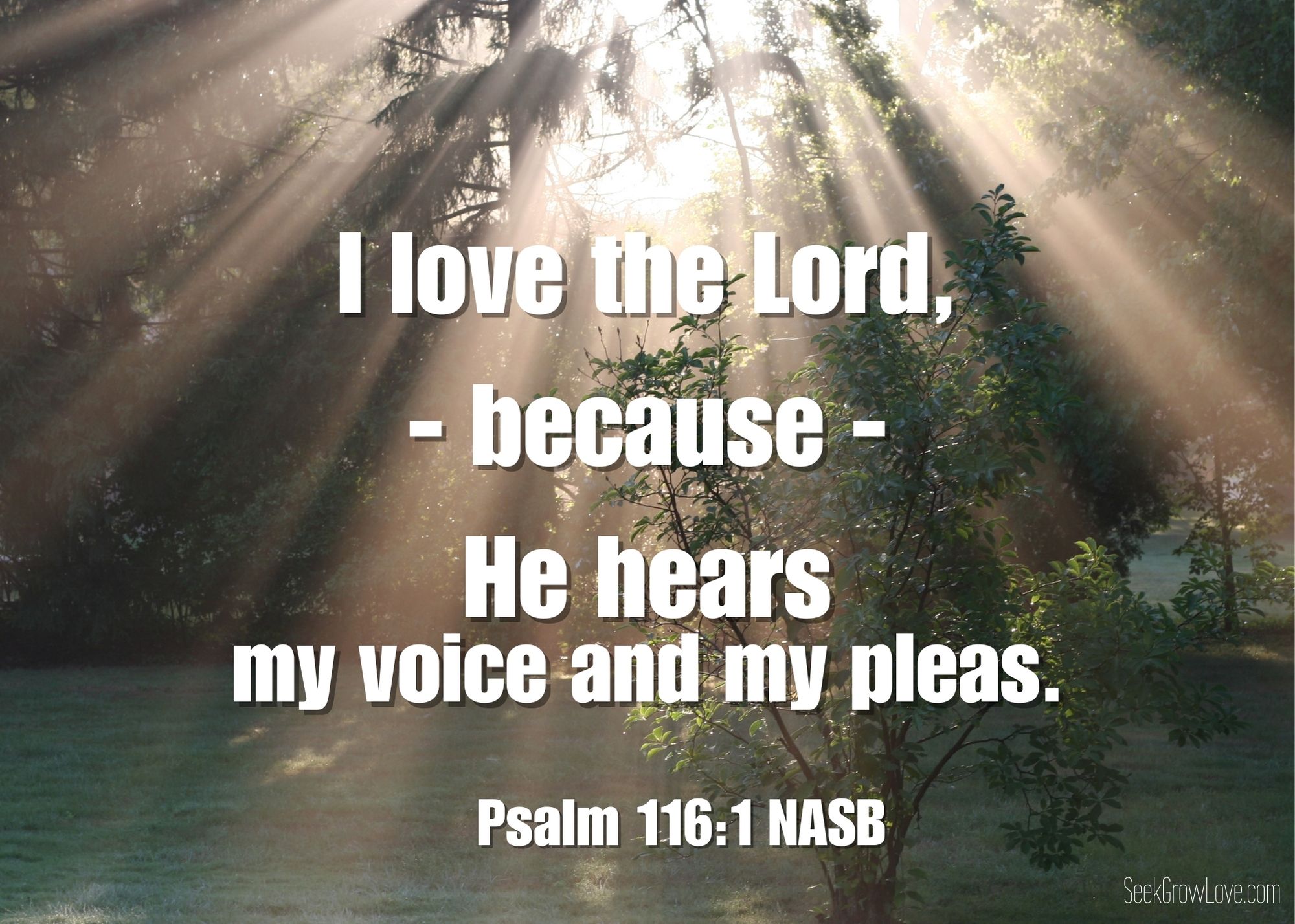 I Love the LORD Because… – Seek Grow Love