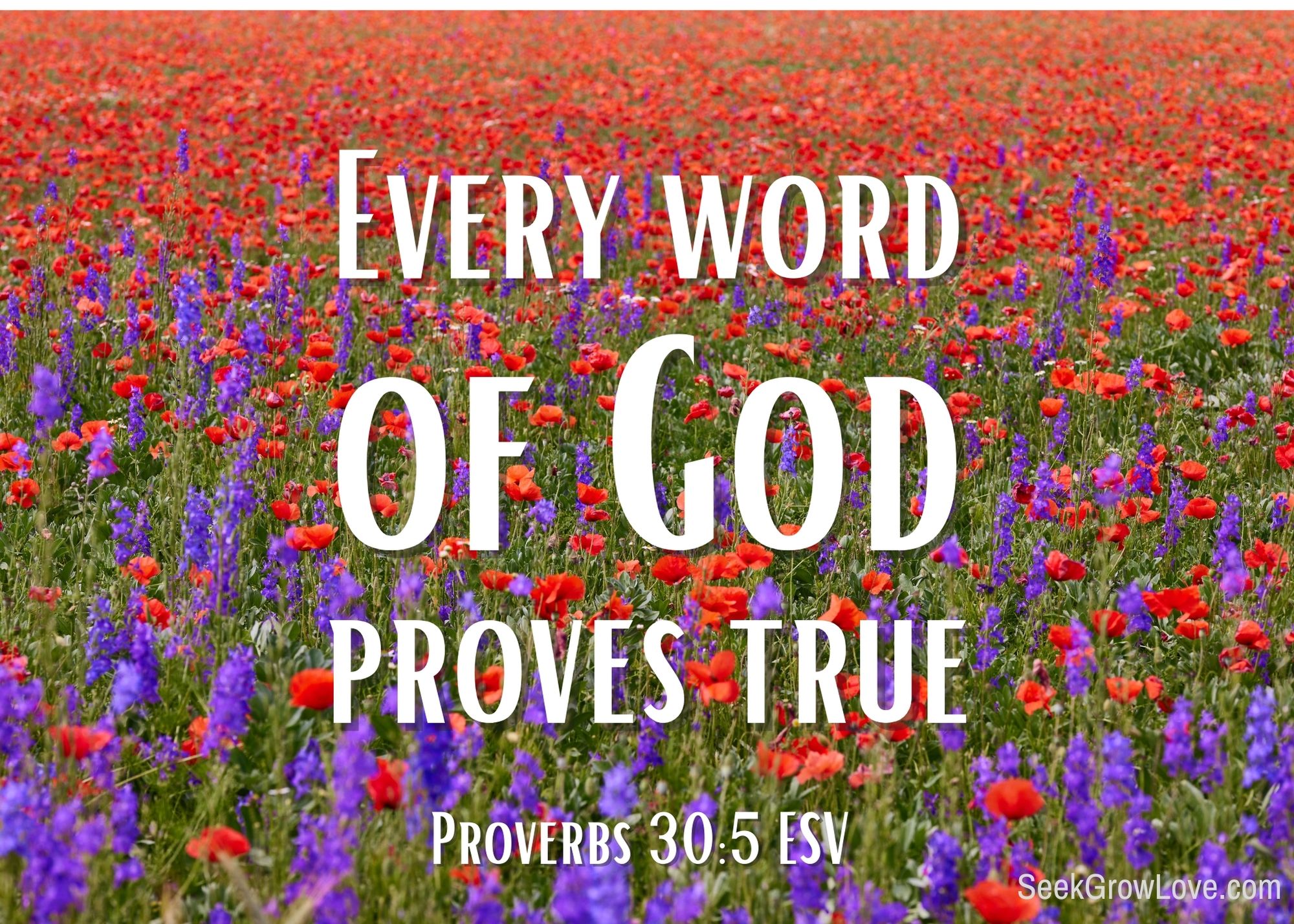 Proverbs 30:5 – Seek Grow Love