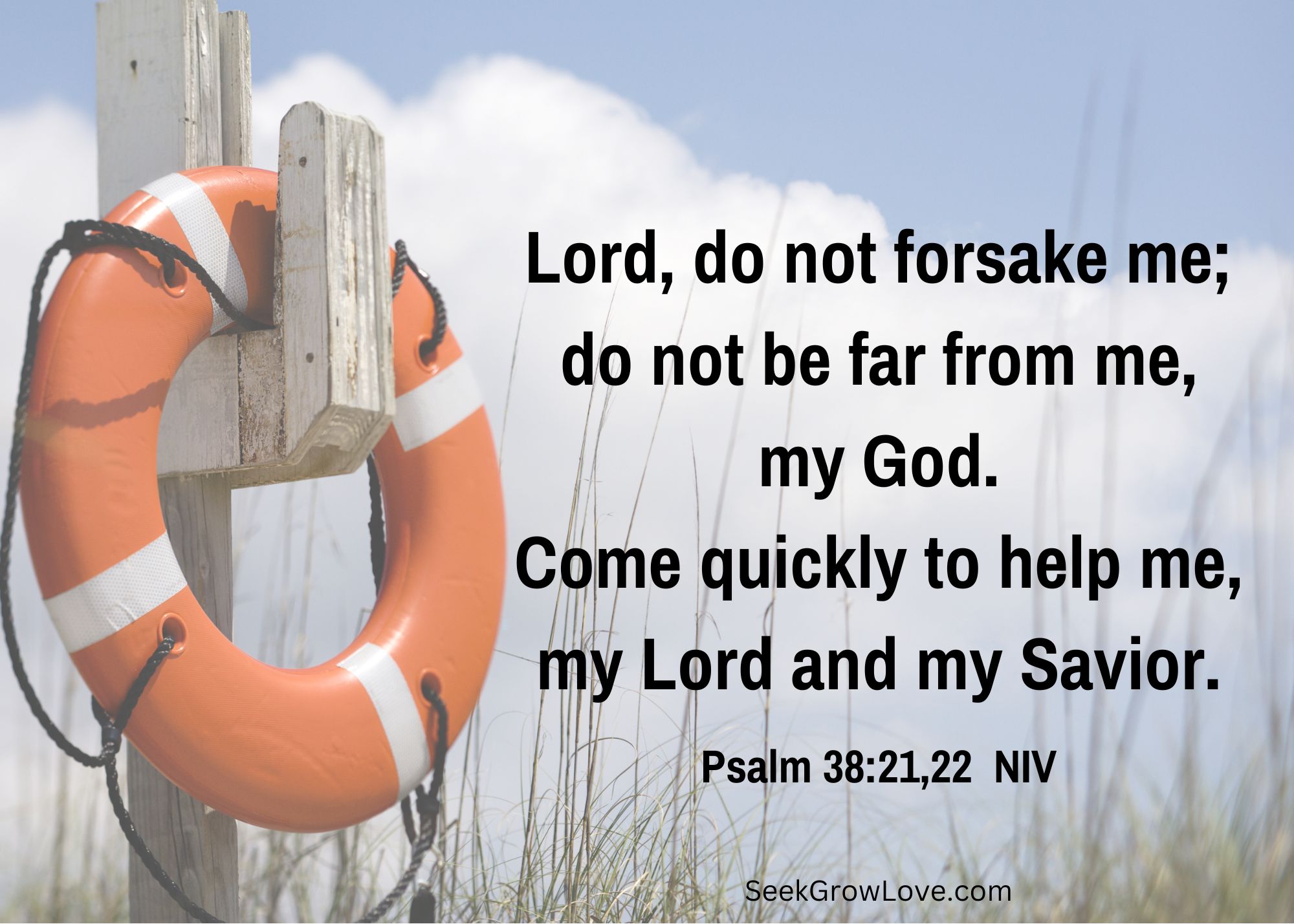 Finding Strength in the Struggle – Seek Grow Love