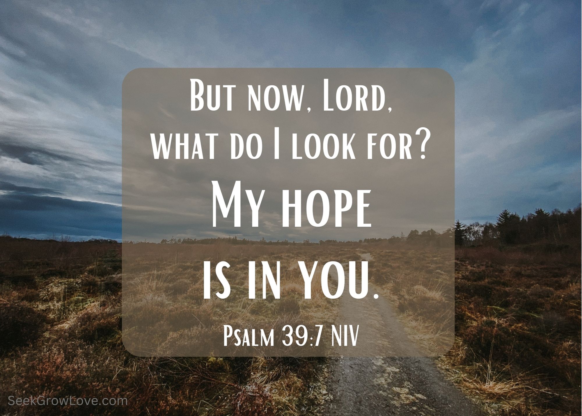 Holding Fast to Hope – Seek Grow Love