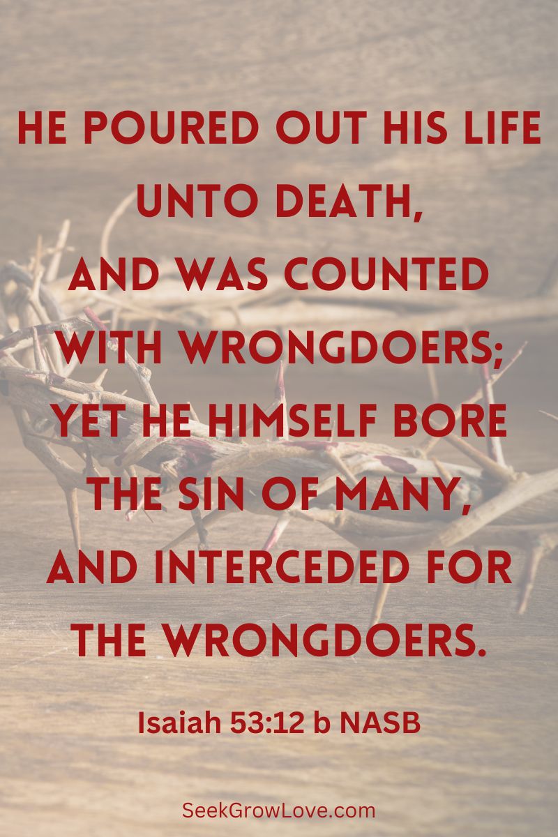 From Suffering Servants to Shouts of Joy – Seek Grow Love