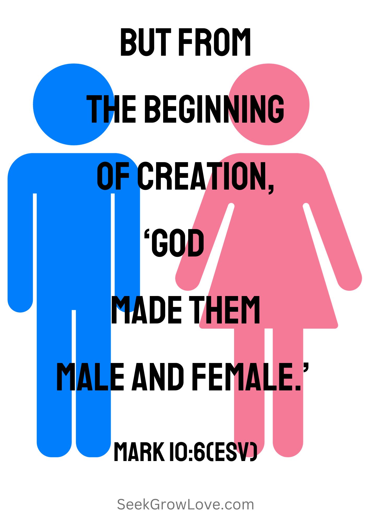 God Made Them Male and Female – Seek Grow Love