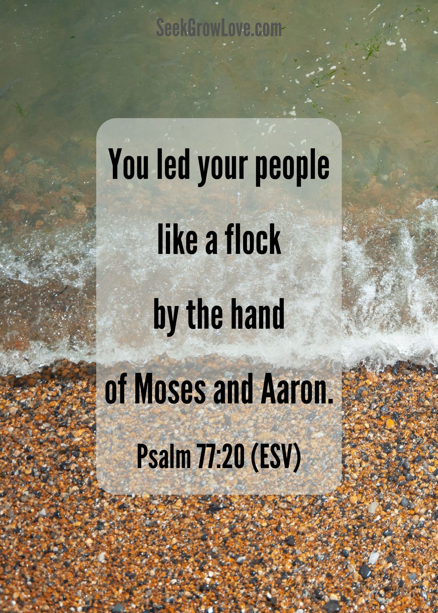 Day of Trouble – Seek Grow Love