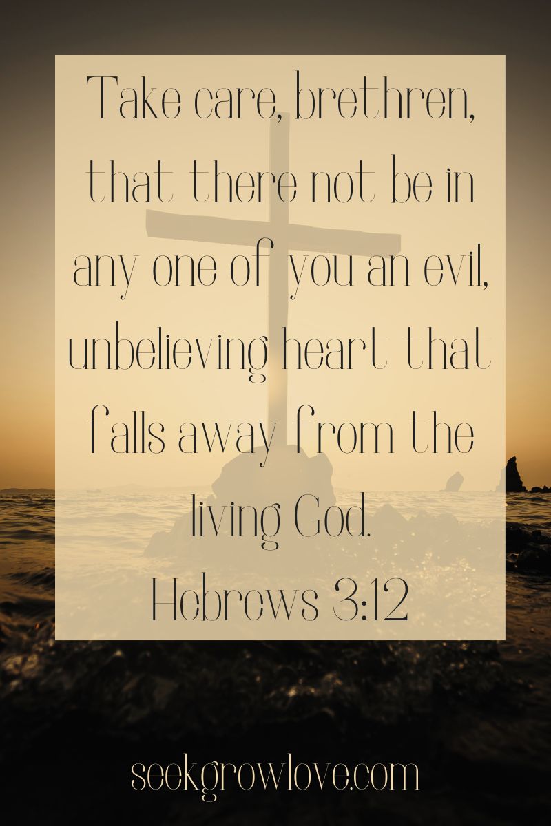 Take Care – Seek Grow Love