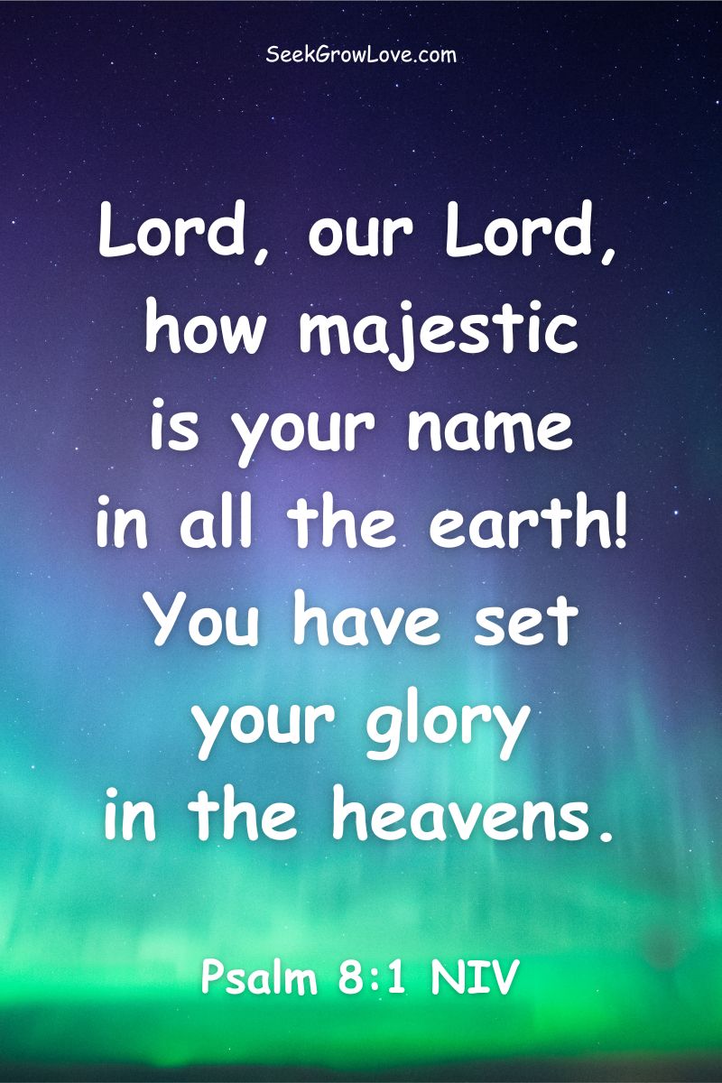 Press Pause – Seek Grow Love