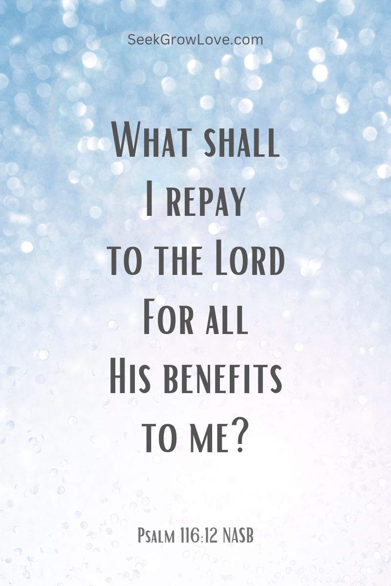 Remembering & Responding – Seek Grow Love