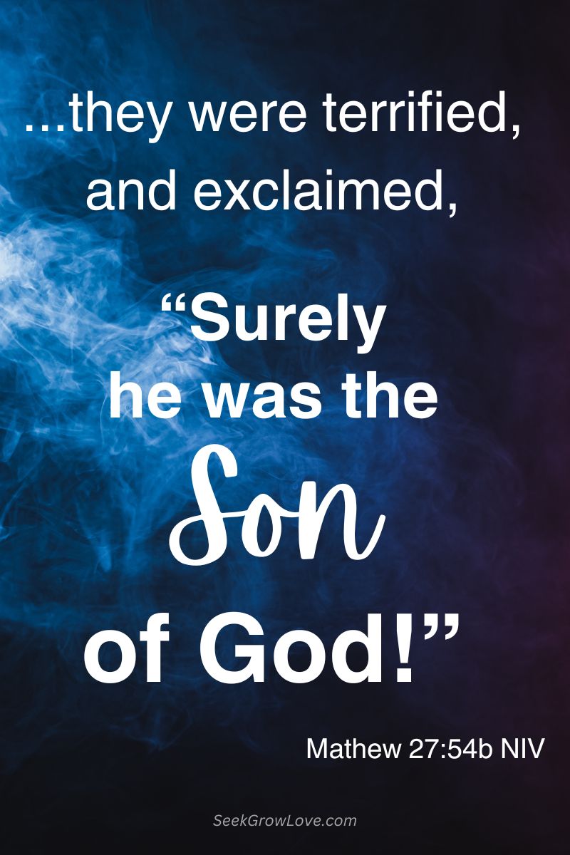 Oops – Seek Grow Love