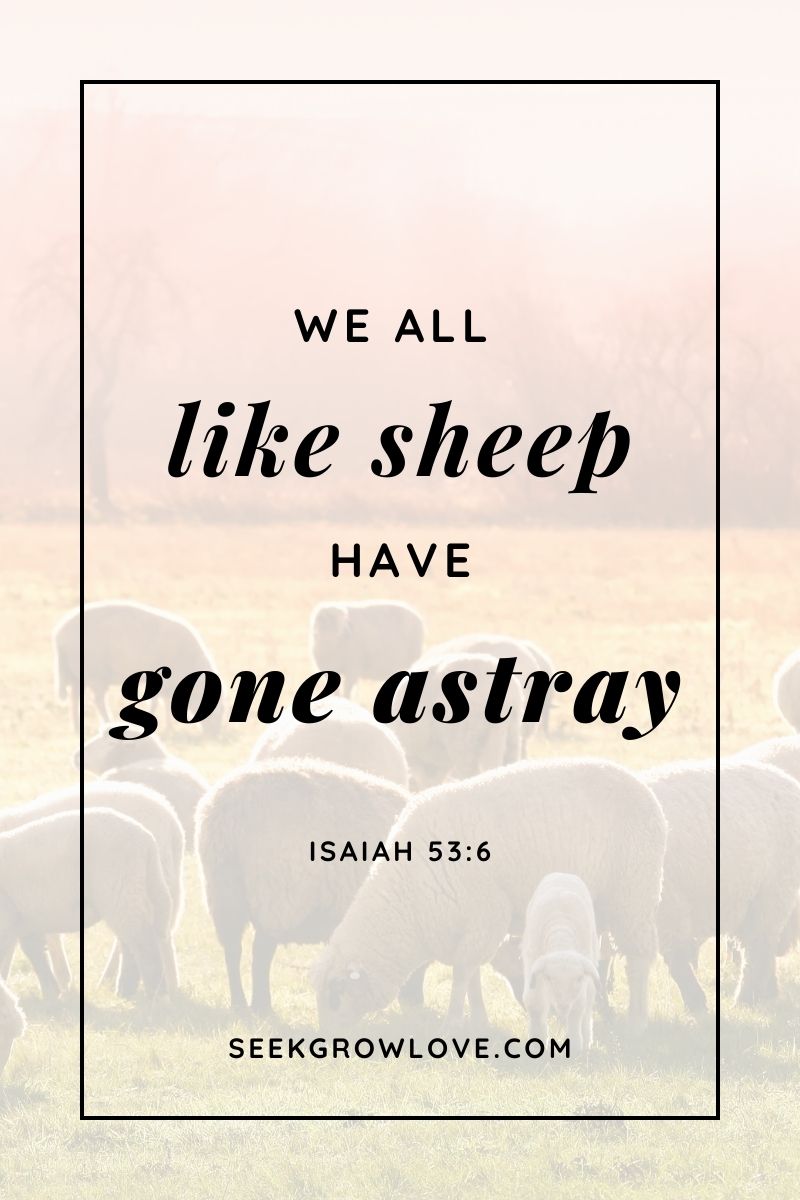 We all like sheep have gone astray – Seek Grow Love